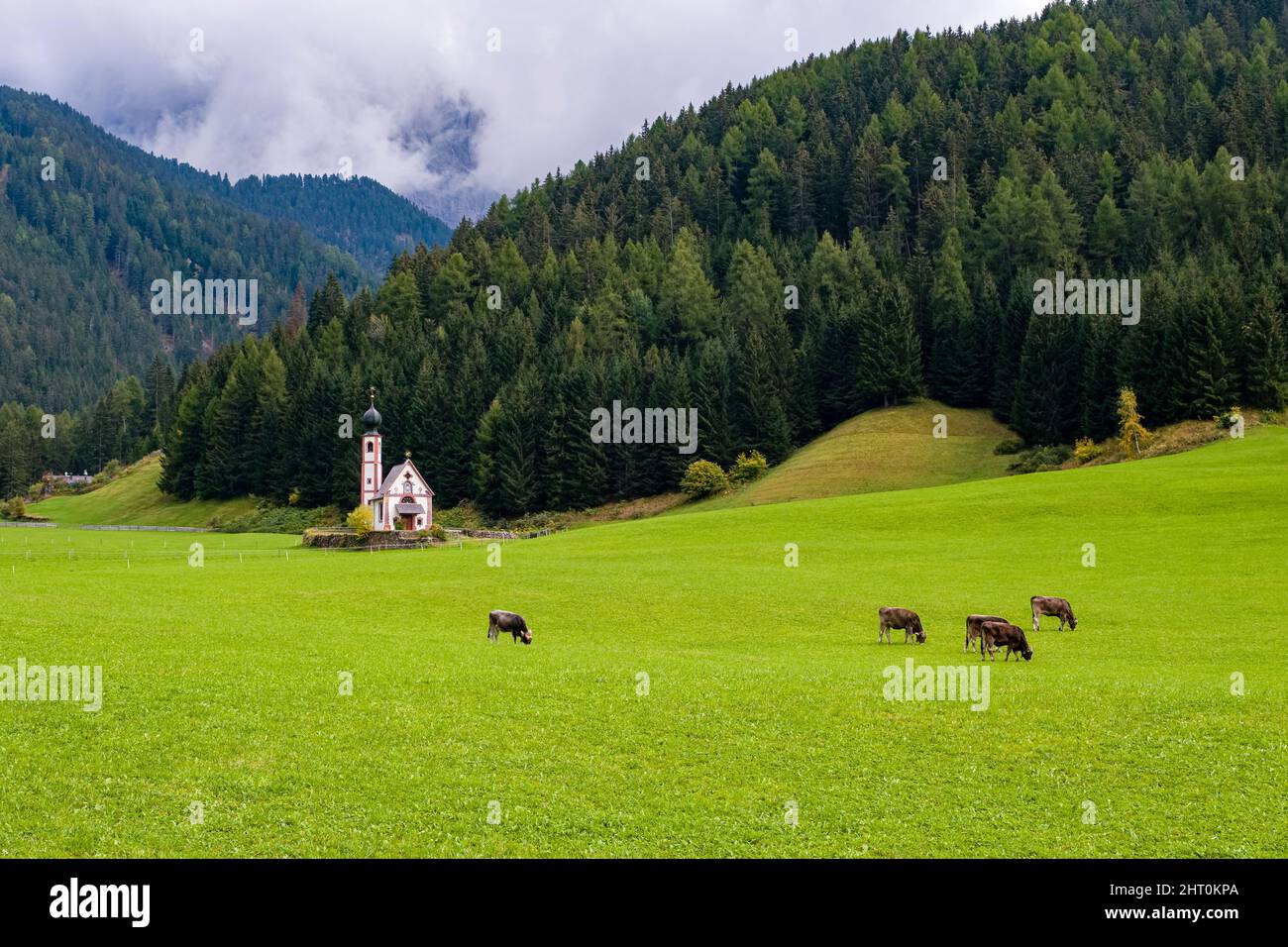 Ranui hi-res stock photography and images - Alamy