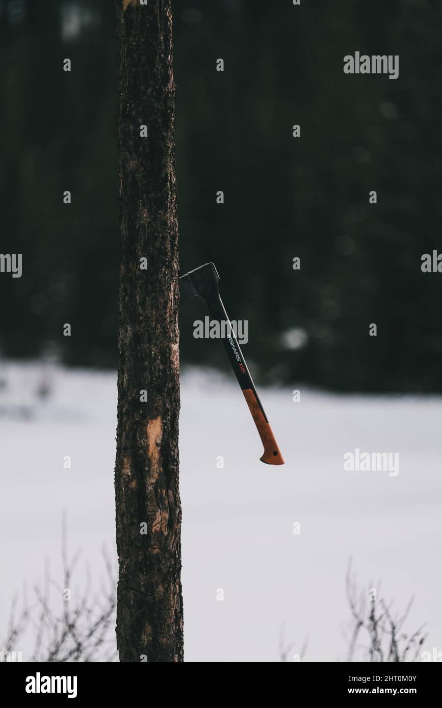 Axe in a tree hi-res stock photography and images - Alamy