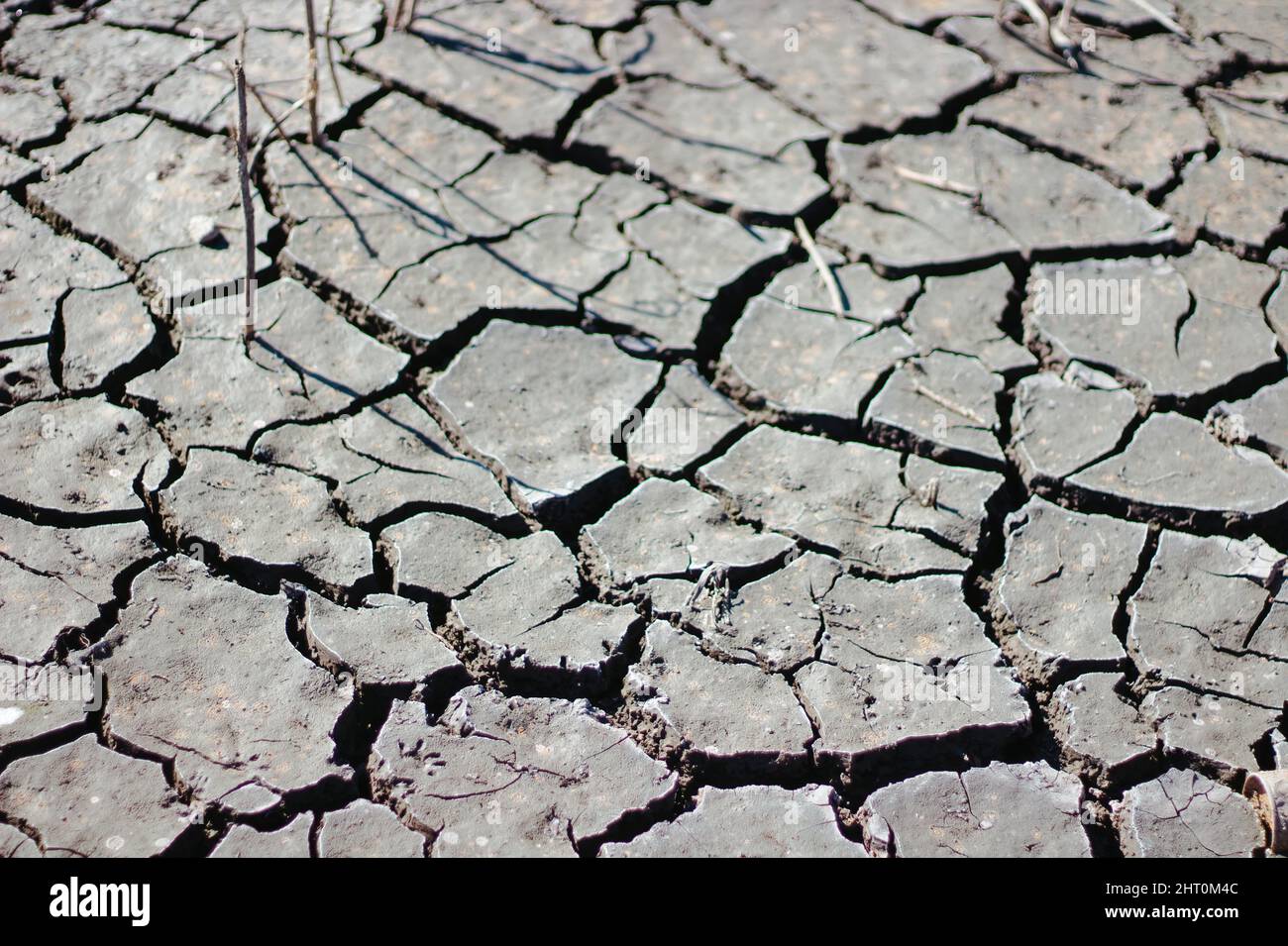 Texture of dry cracked soil Stock Photo - Alamy