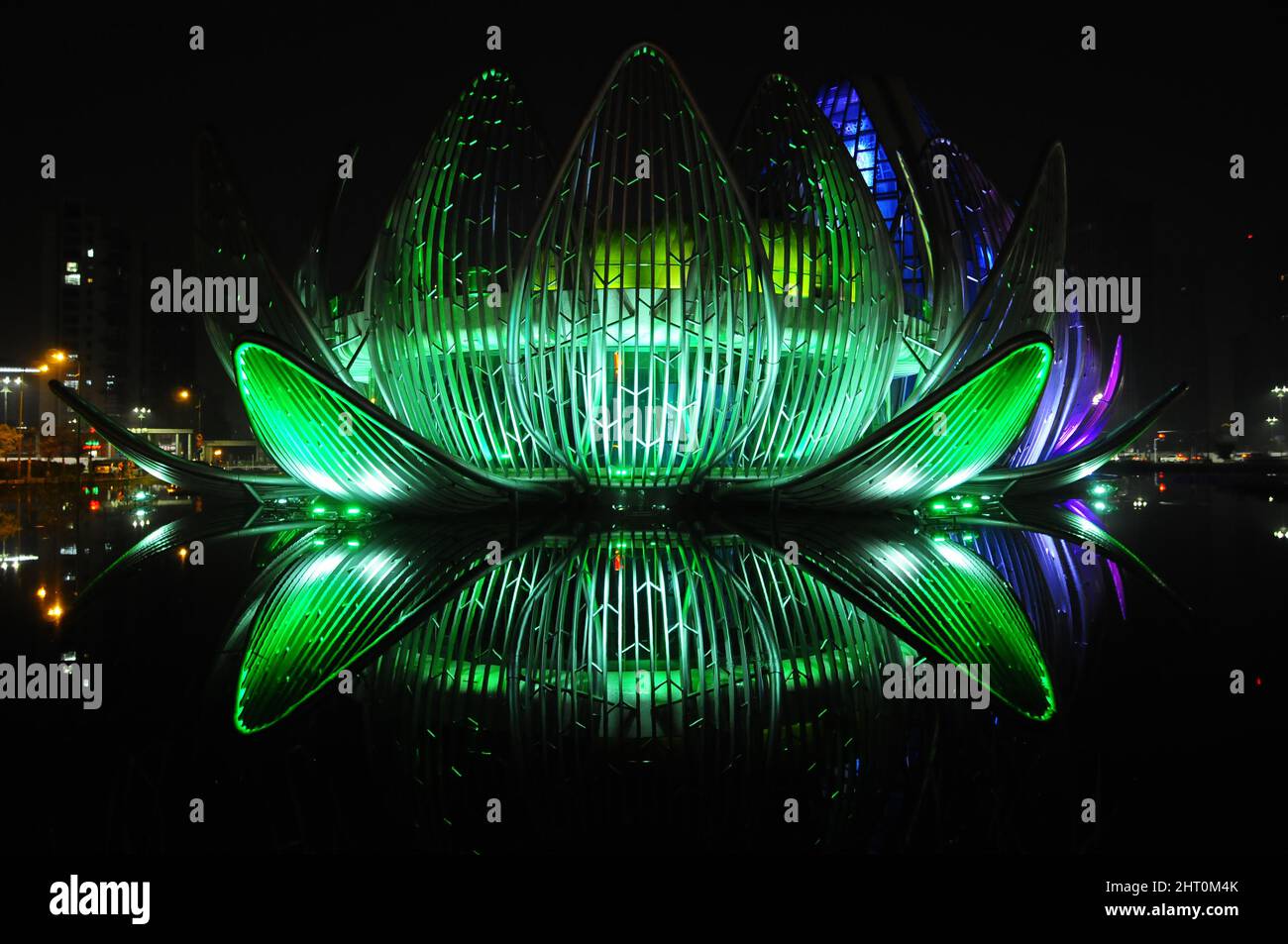 Lotus flower installation at nigh Stock Photo - Alamy