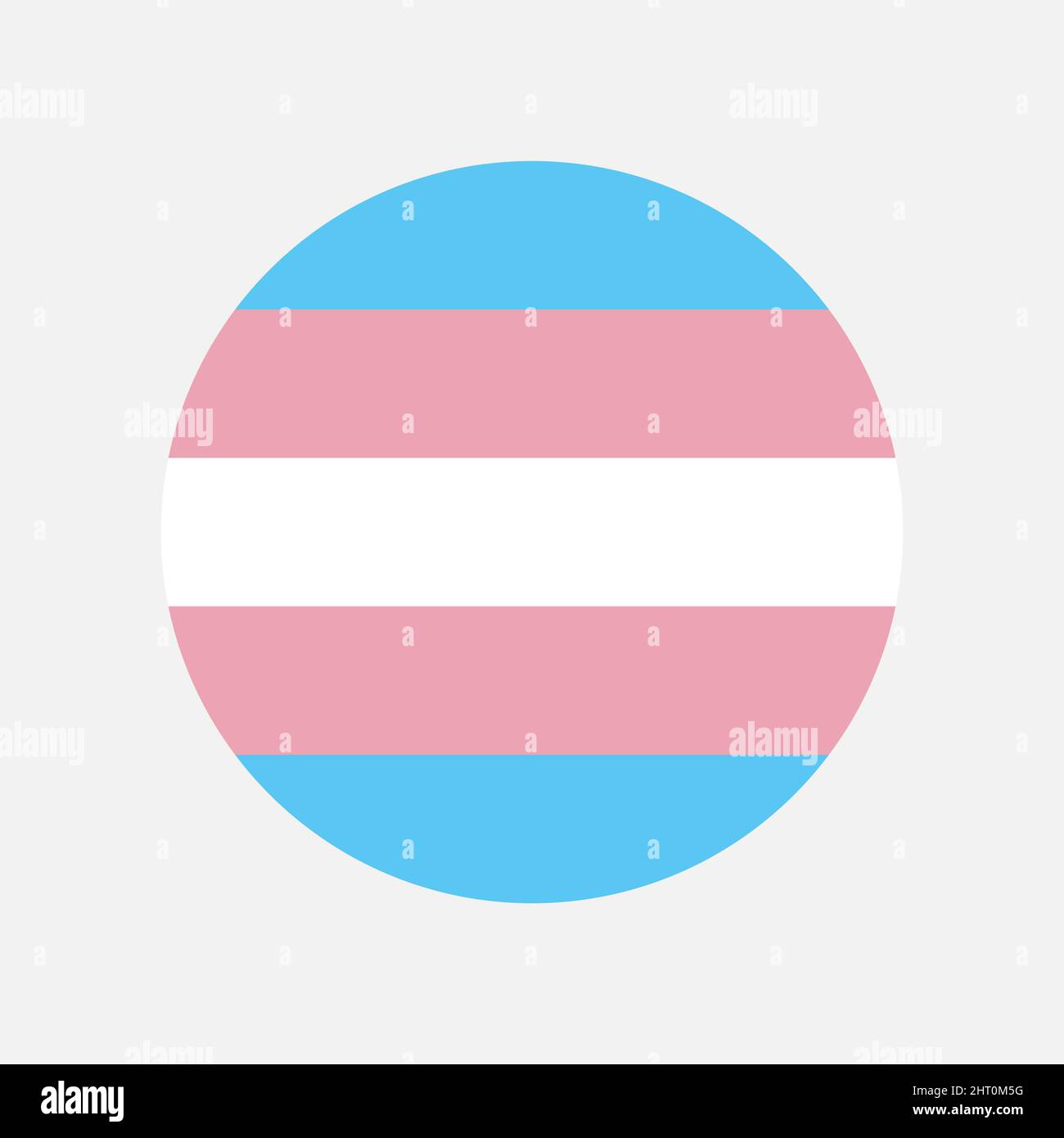Transgender flag circle vector icon on white Stock Vector Image & Art ...
