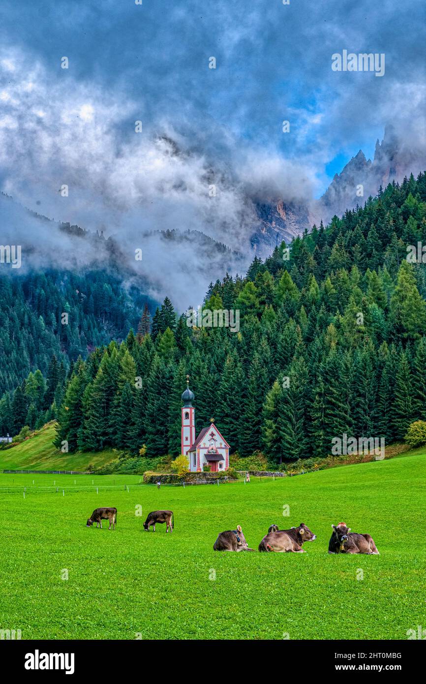 Ranui hi-res stock photography and images - Alamy