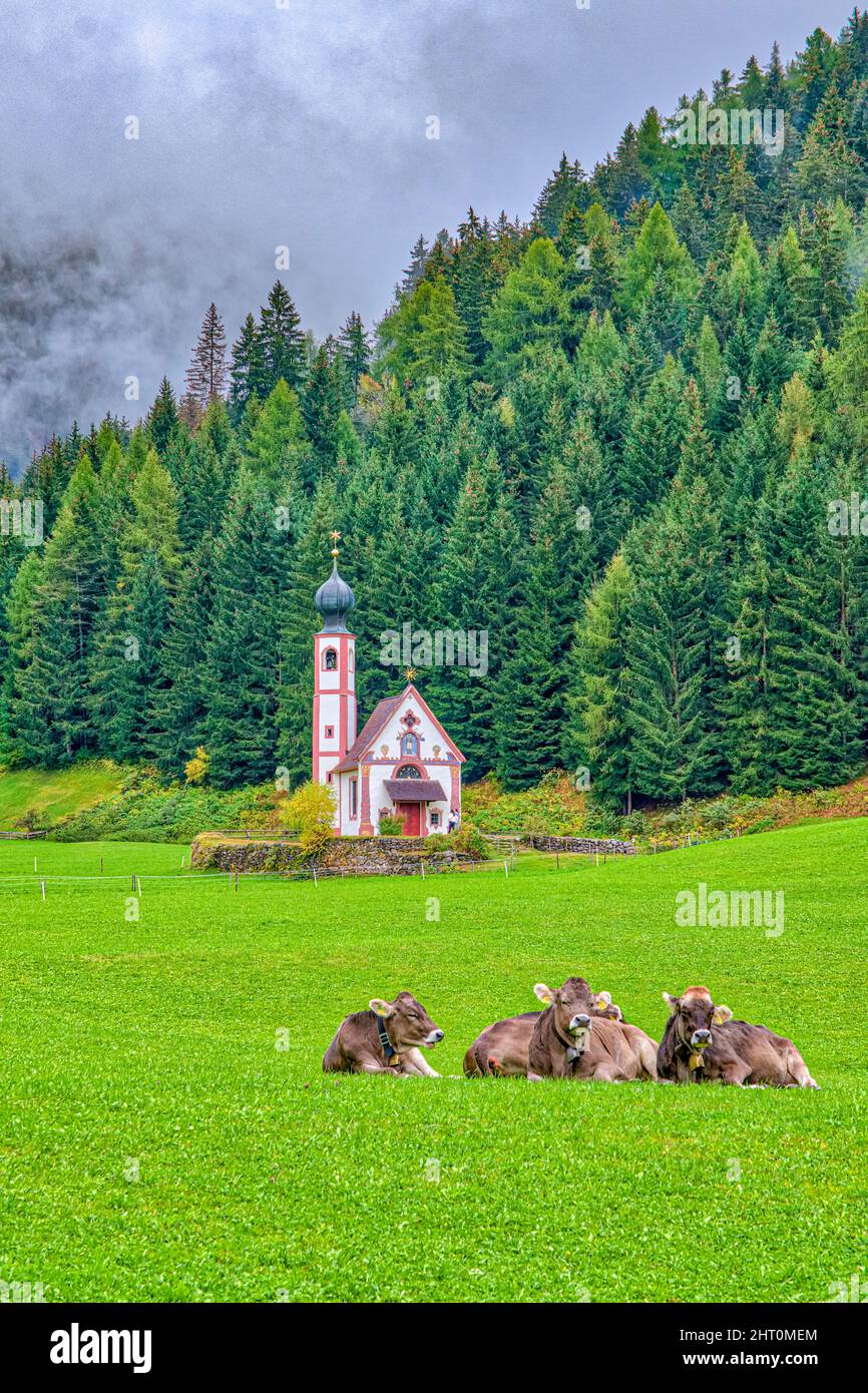 Ranui hi-res stock photography and images - Alamy