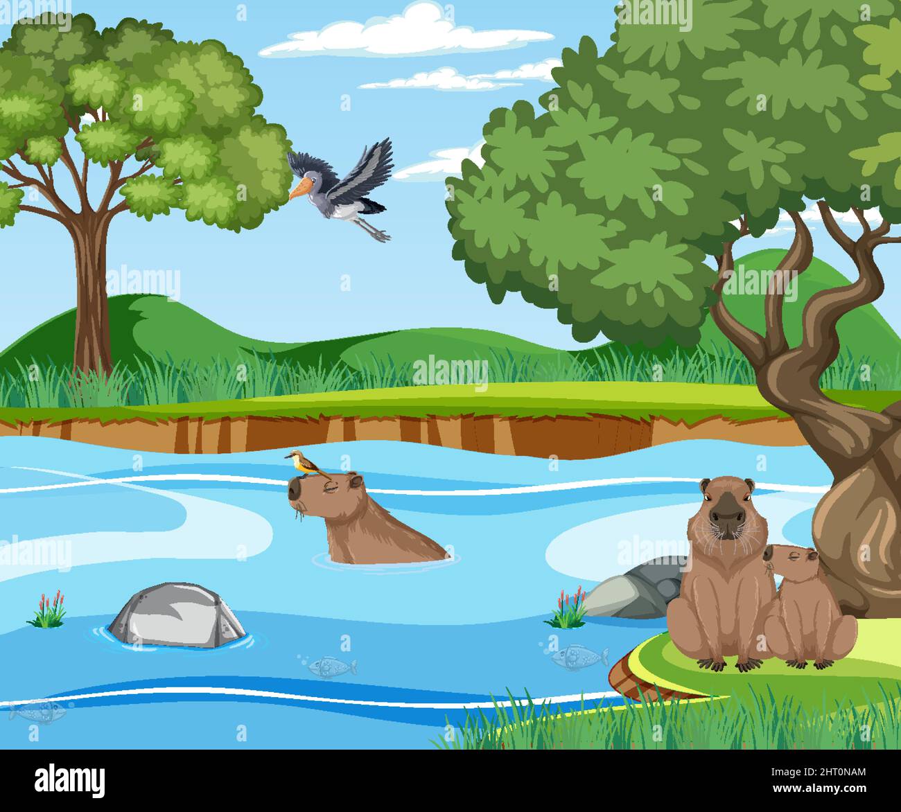 Many animal next to river illustration Stock Vector Image & Art - Alamy