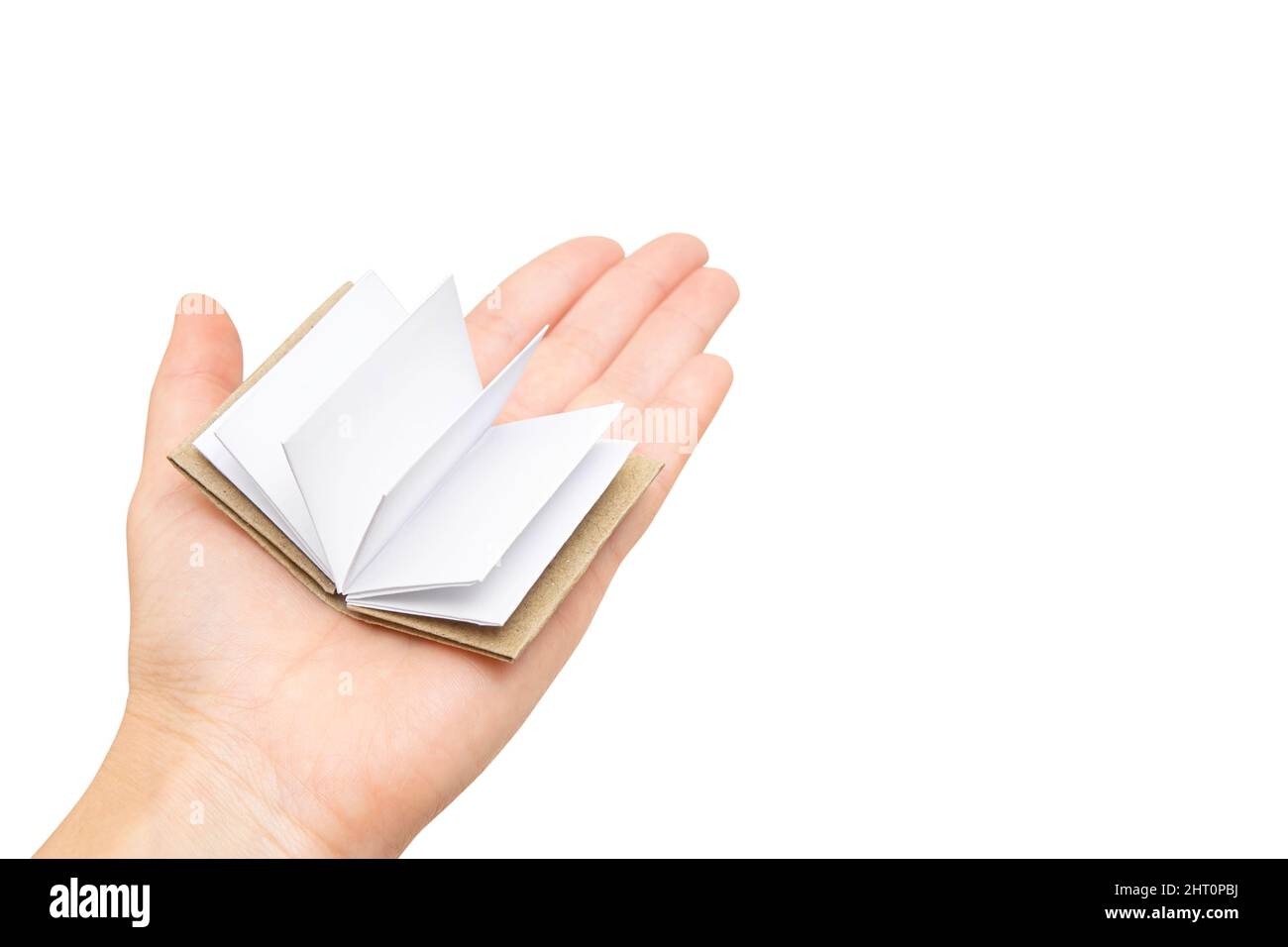 Tiny open book with blank pages in hand isolated on white background ...