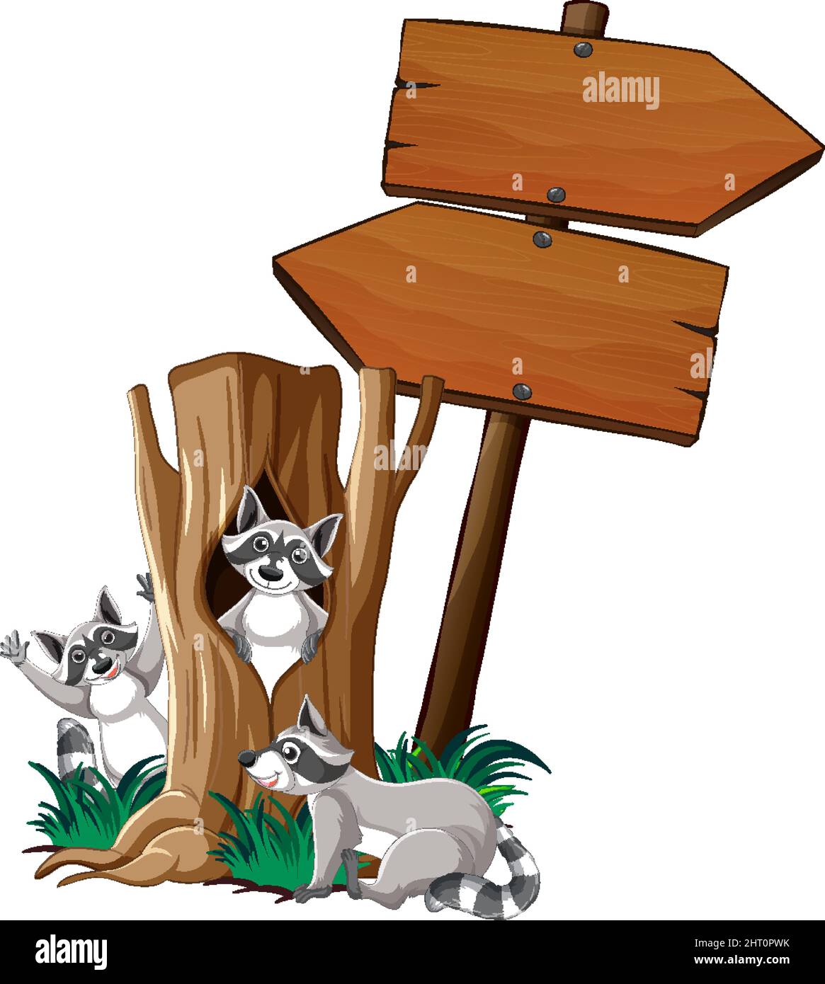 Raccoon with wooden sign banner illustration Stock Vector Image & Art ...