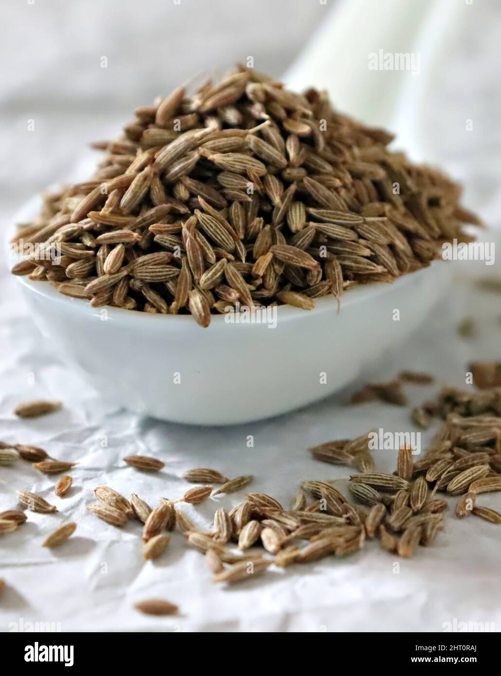 Close-up of cumin seed/jeera in a ceramic spoon against white ...