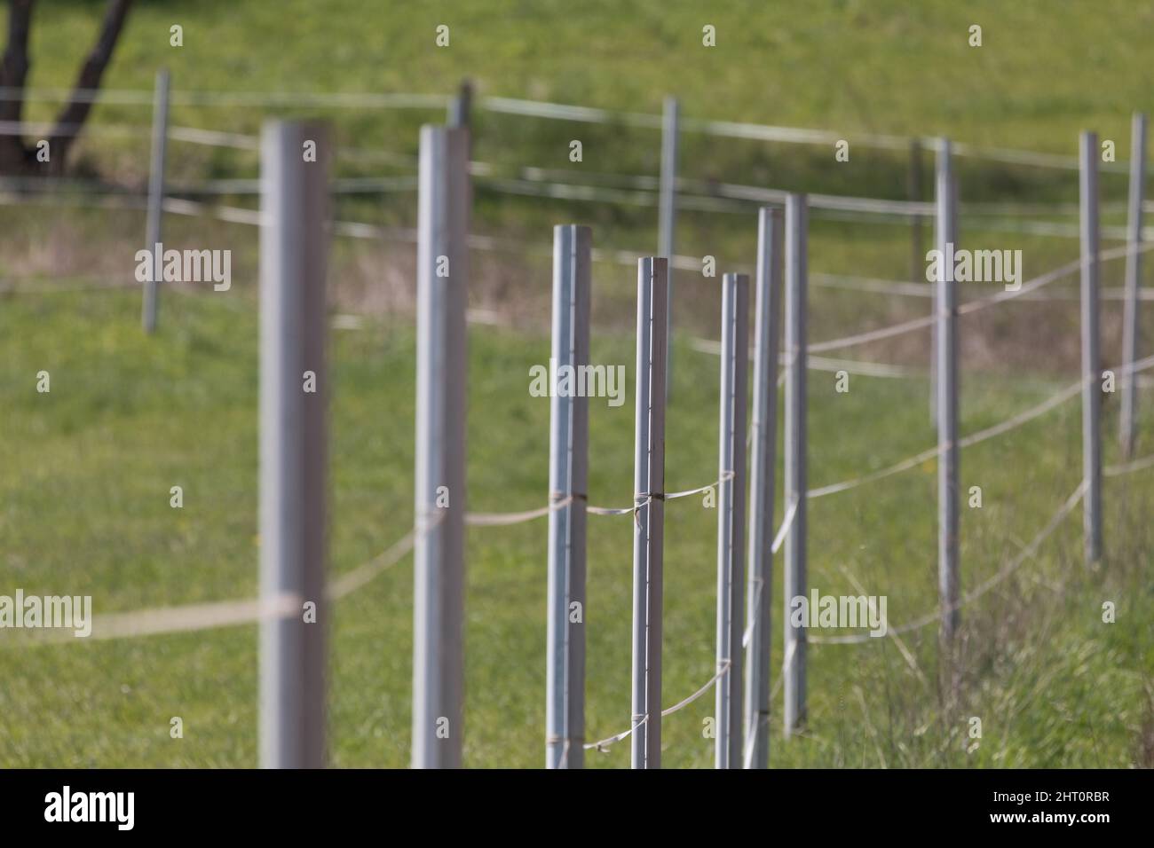 Closeup of metal wires fence in the meadow covered by grass Stock Photo ...