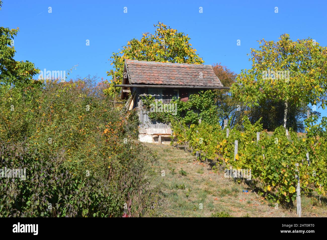 Bad windsheim hi-res stock photography and images - Alamy
