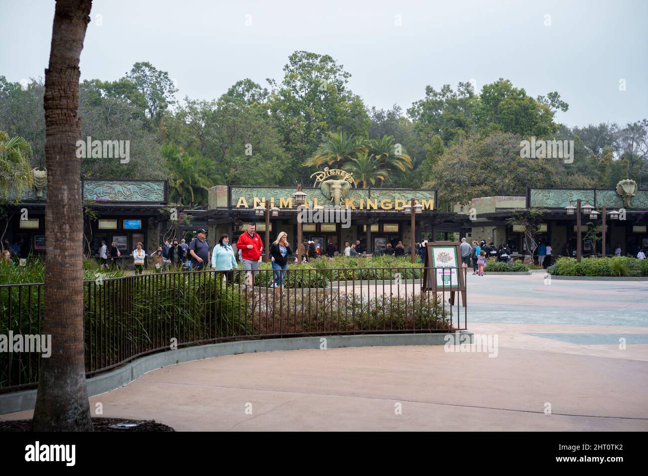 Kissimmee, Florida - February 7, 2022: Wide View of Disney World Animal ...