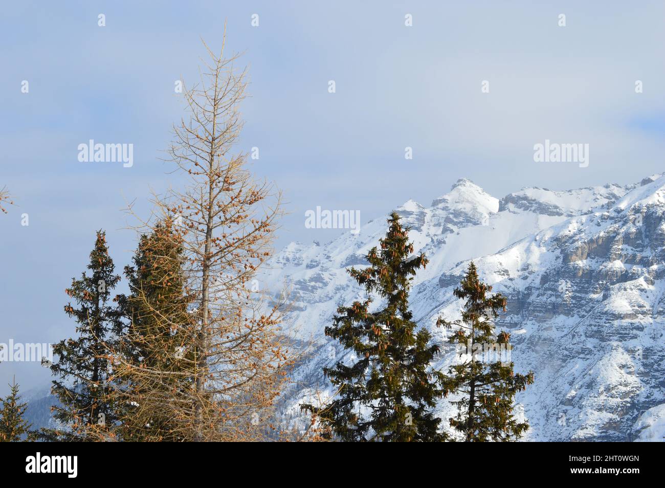 Elfer hi-res stock photography and images - Alamy