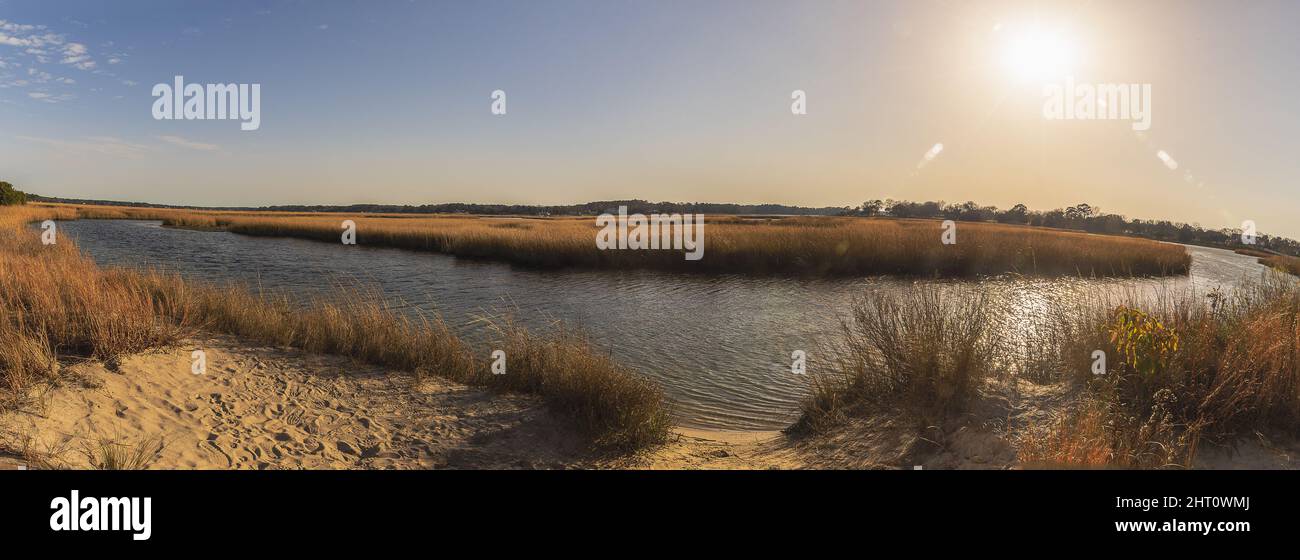 Panoramic landscapes scene of ling grass around water river with a ...
