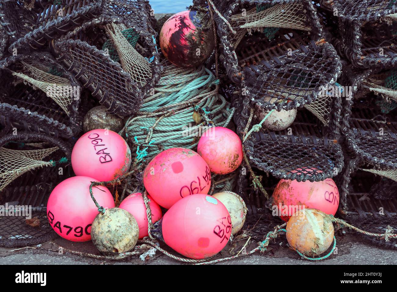 Industrial seafood hi-res stock photography and images - Alamy