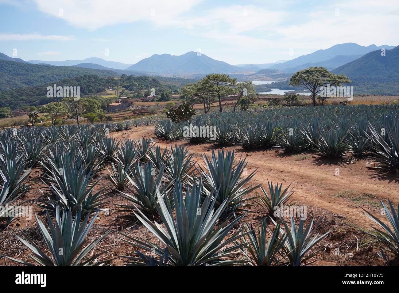 Jalisco Mexico Scenery