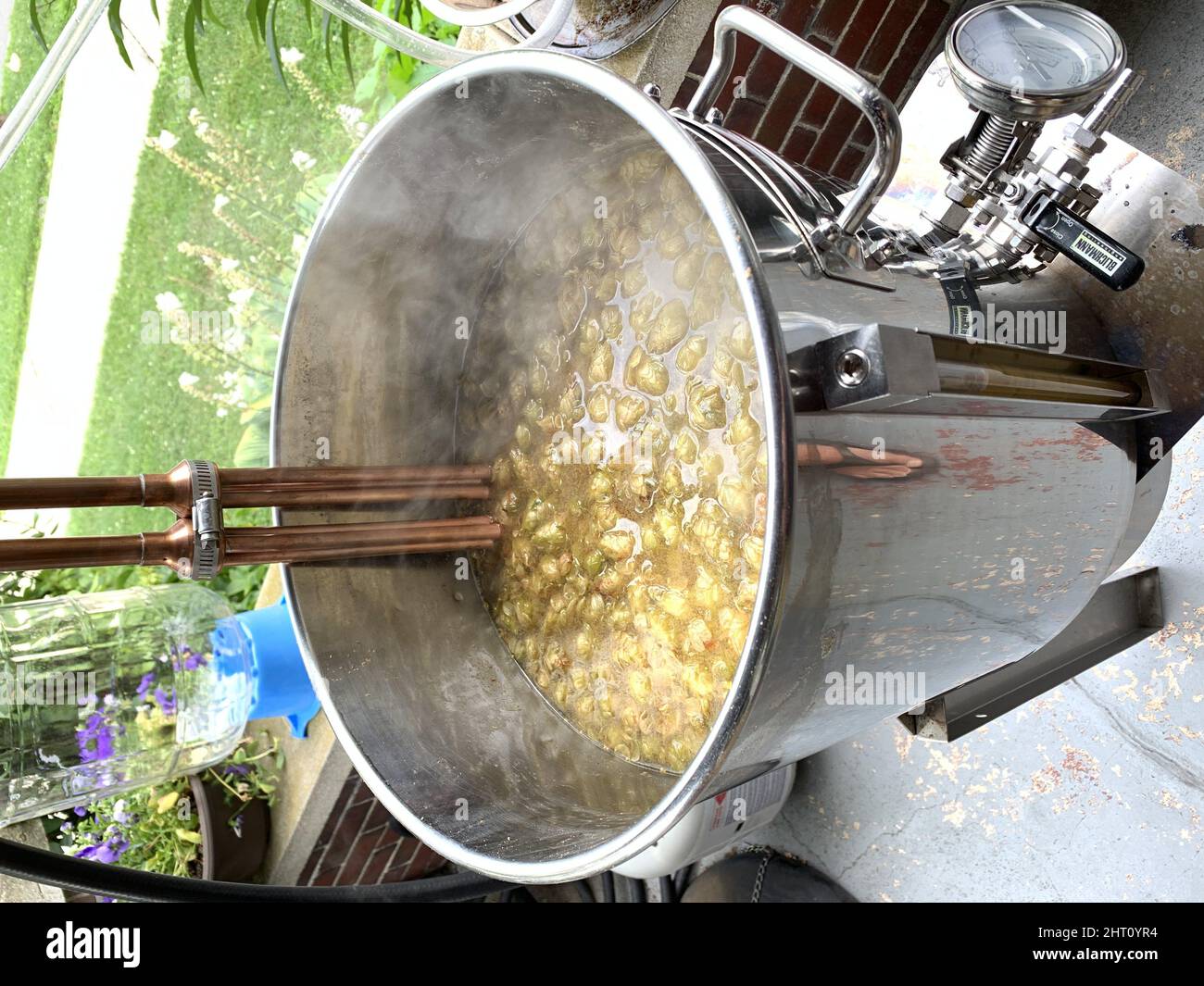 Boiling plants hi-res stock photography and images - Alamy