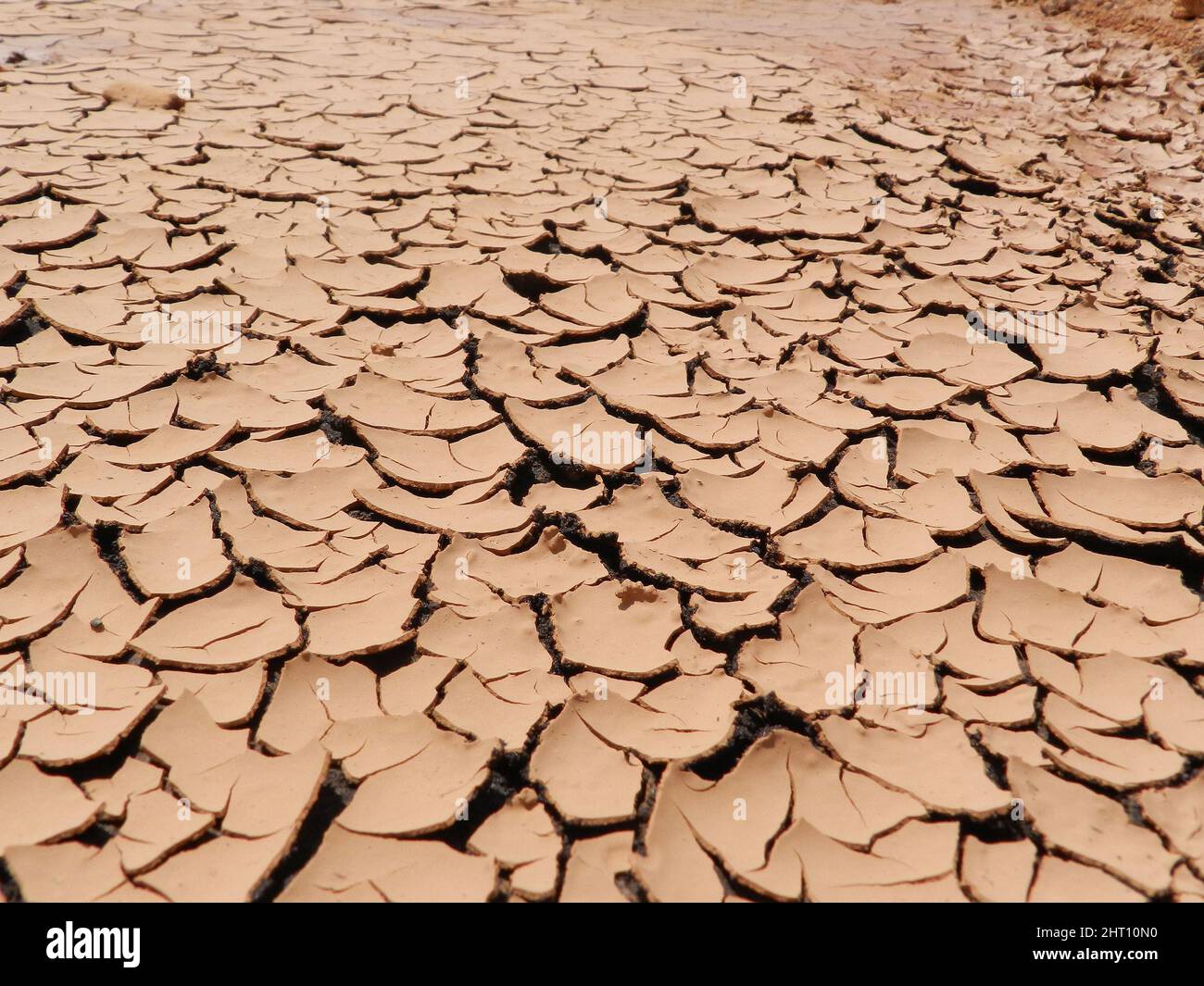Drought desert with cracked land texture Stock Photo - Alamy