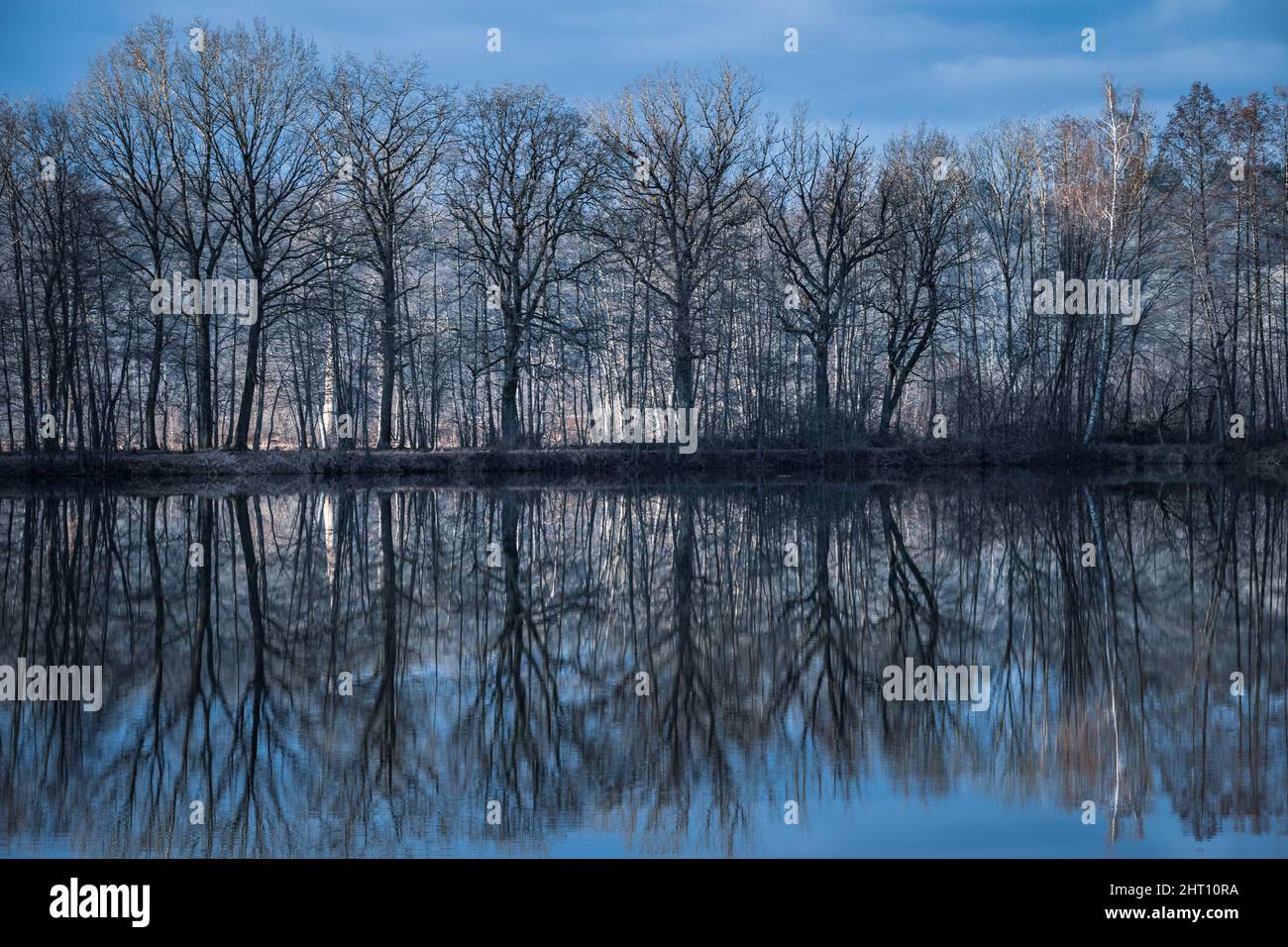 Trees reflection in the lake Stock Photo - Alamy
