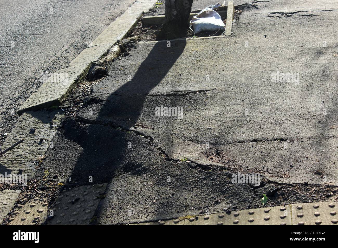 Tree damage pavement hi-res stock photography and images - Alamy