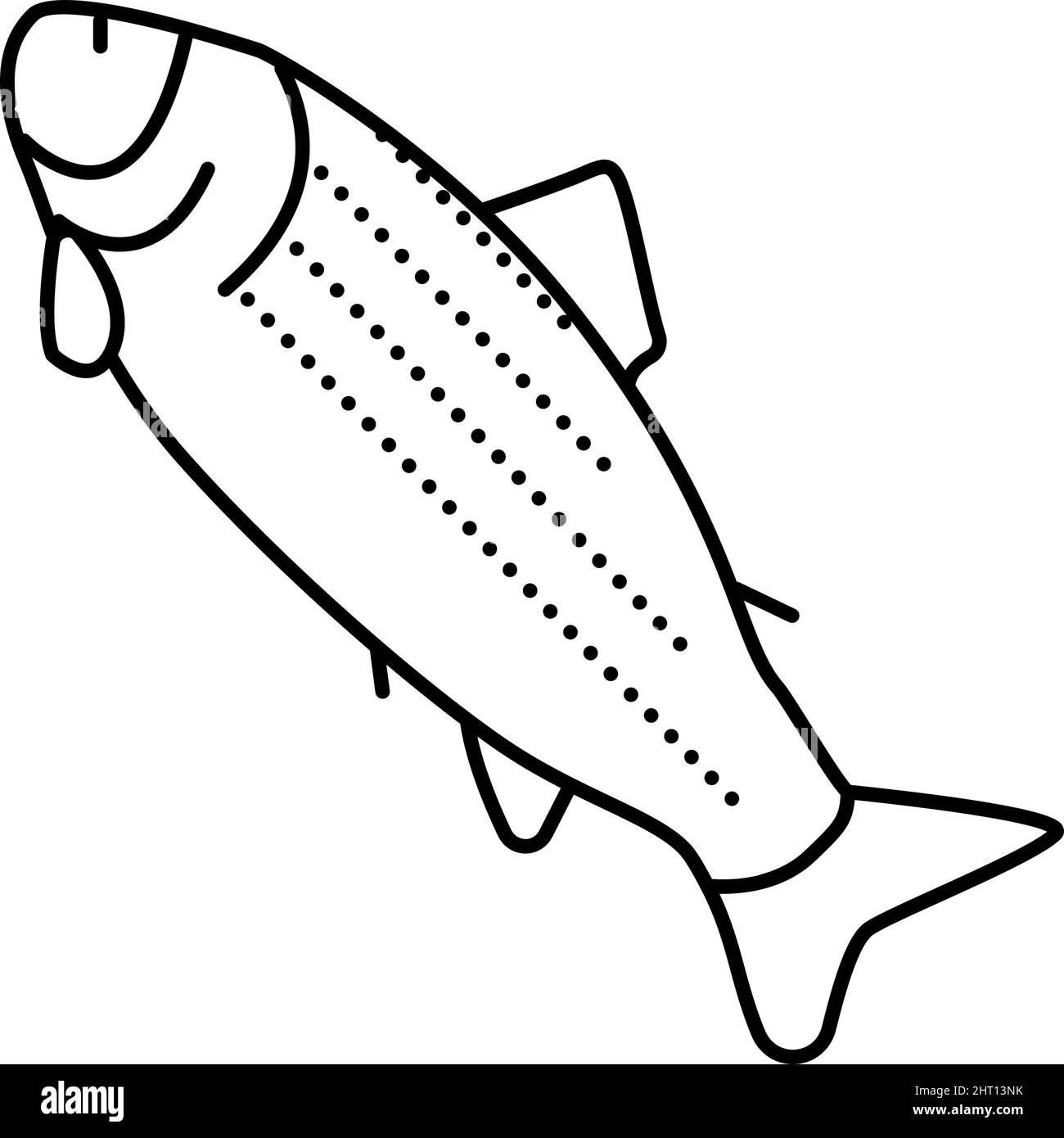 adult salmon line icon vector illustration Stock Vector Image & Art - Alamy