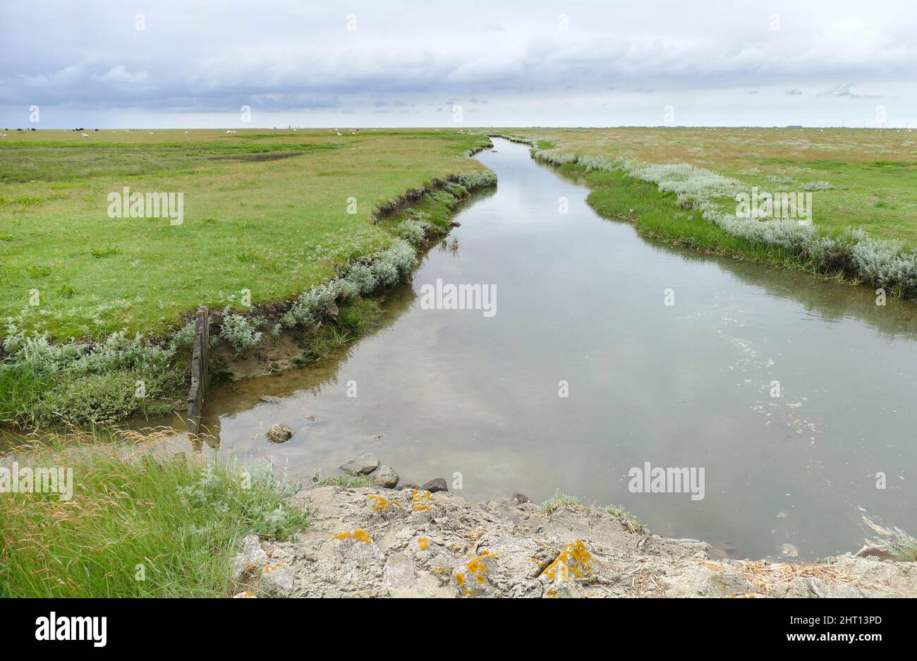 Scenerywith water canal at a Hallig named Nordstrandischmoor at the ...