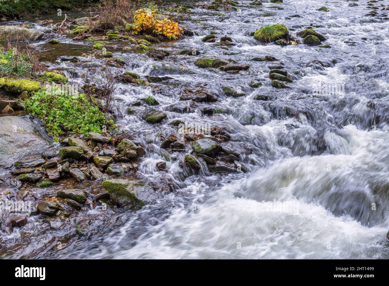 View of fast flowing water in the East Lyn River Stock Photo - Alamy