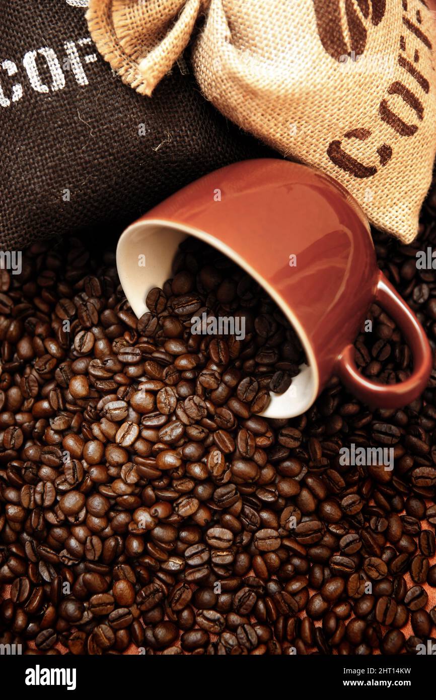 Cafe coffee bean caffeine hi-res stock photography and images - Alamy