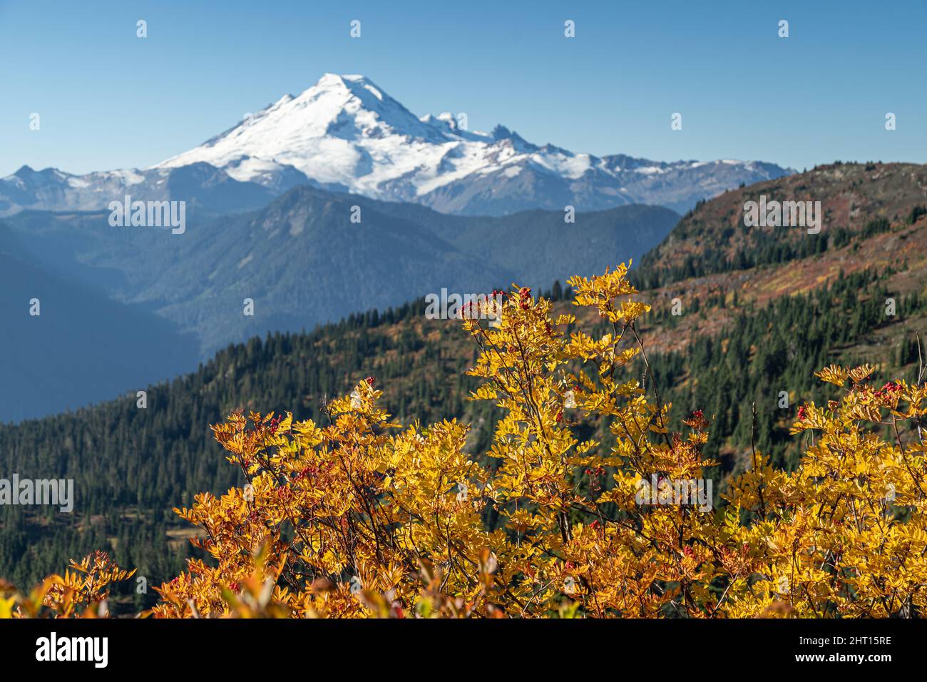 Landscape of Mount Baker covered in the snow and greenery under the ...