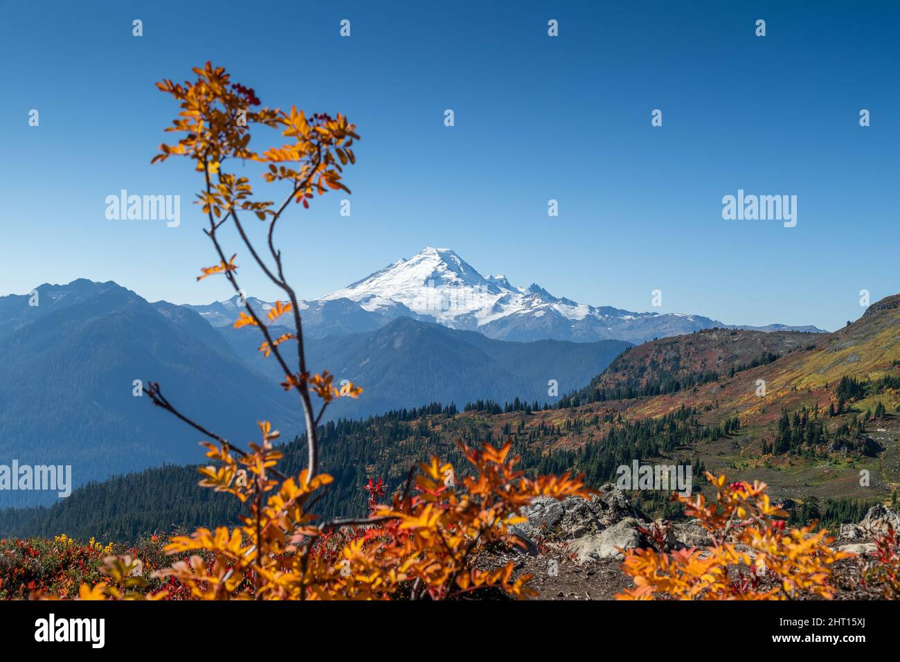 Landscape of Mount Baker covered in the snow and greenery under the ...