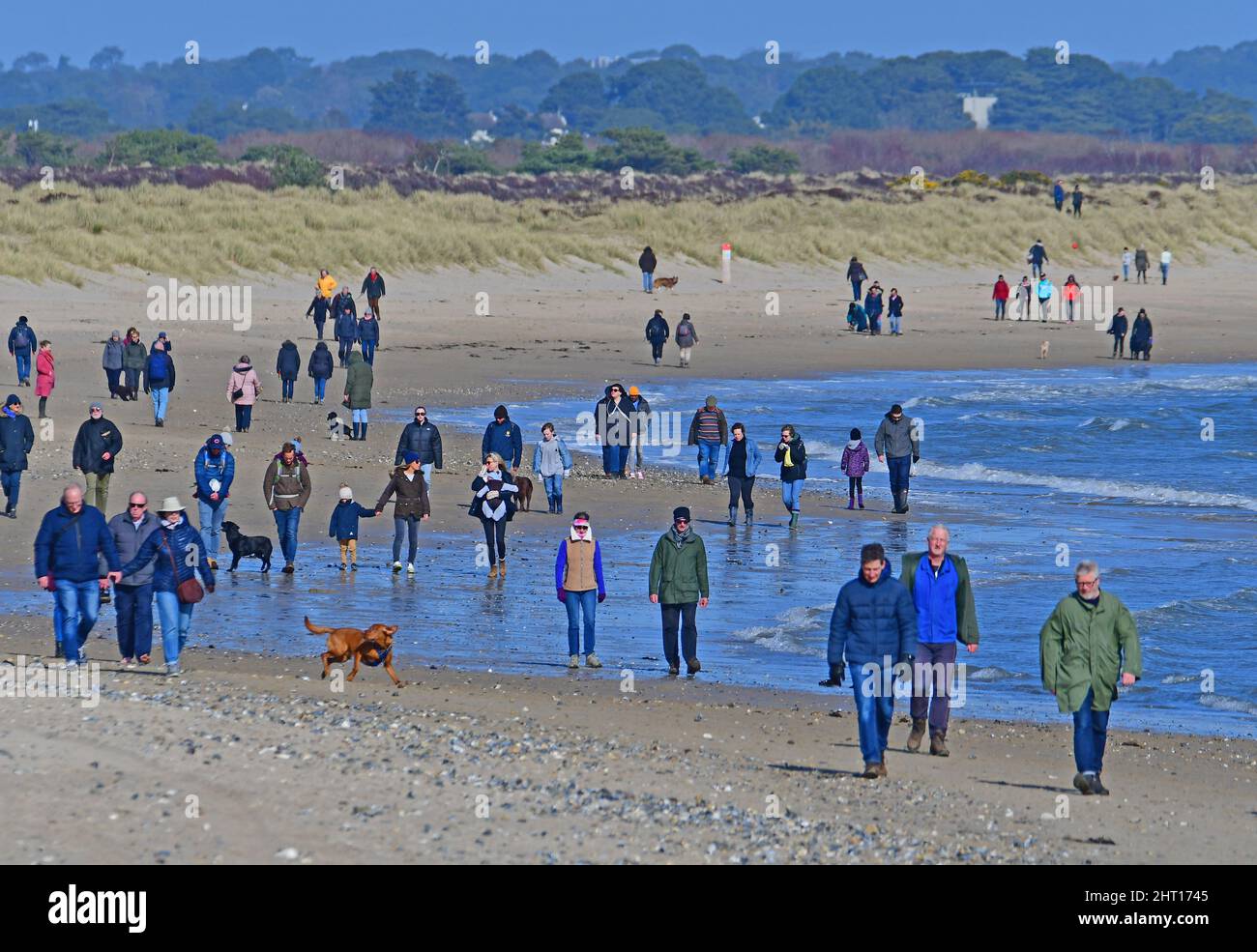 Knoll beach uk studland hi-res stock photography and images - Alamy