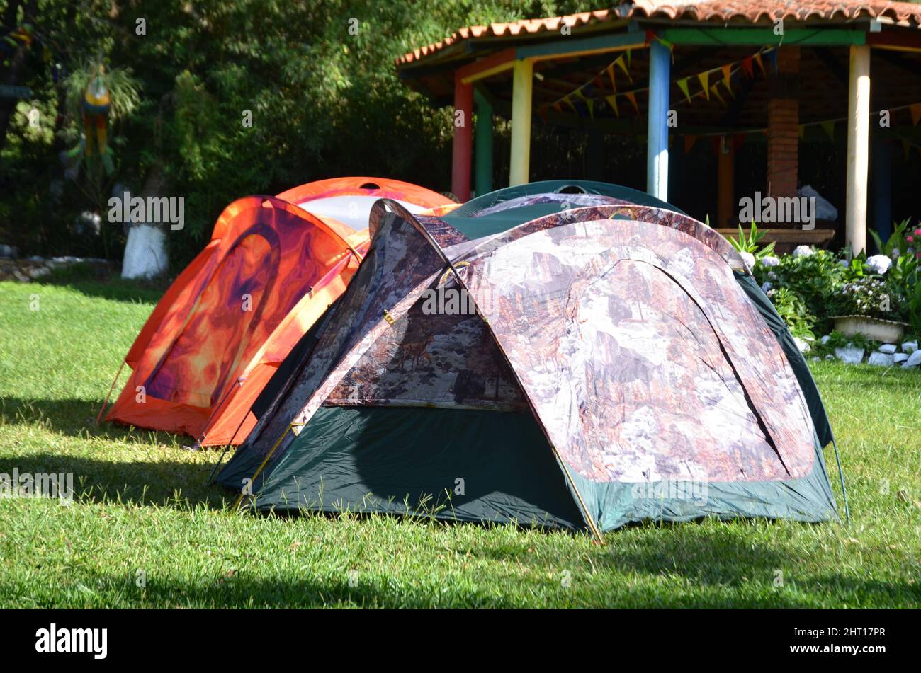 Camping tents on green grass Stock Photo - Alamy
