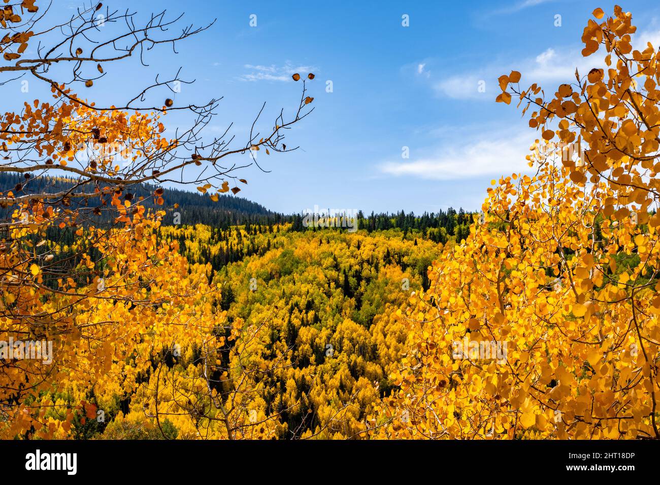 Beautiful autumn landscape with yellow trees and hills in Grand ...