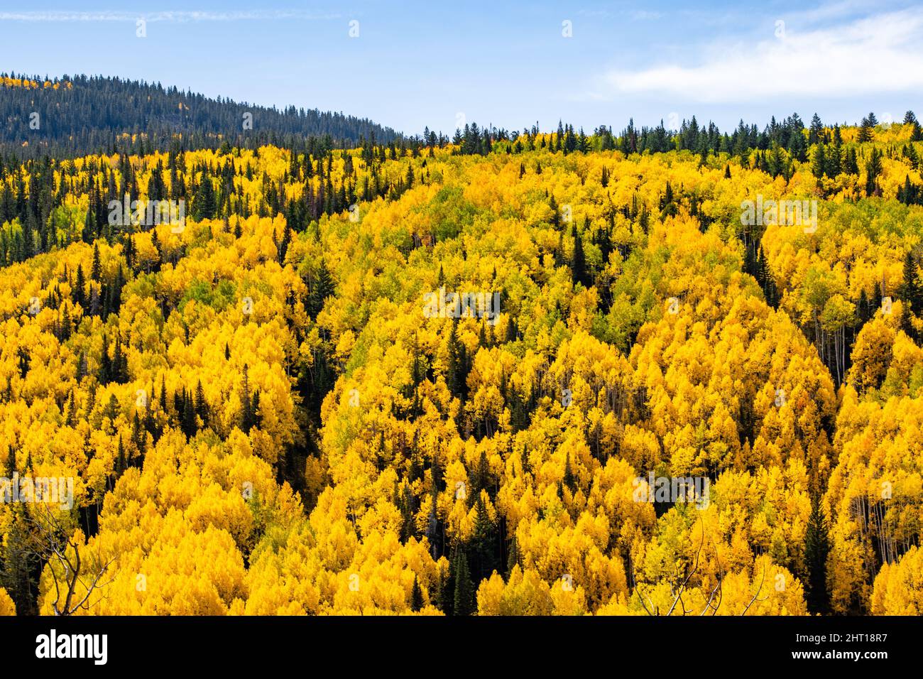 Beautiful autumn landscape with yellow trees and hills in Grand ...