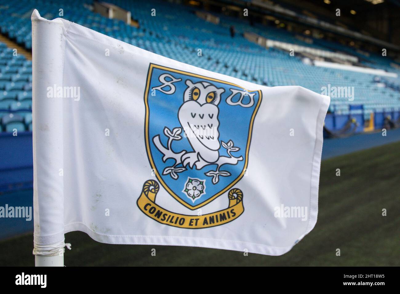 A corner flag with the crest of Sheffield Wednesday Stock Photo - Alamy