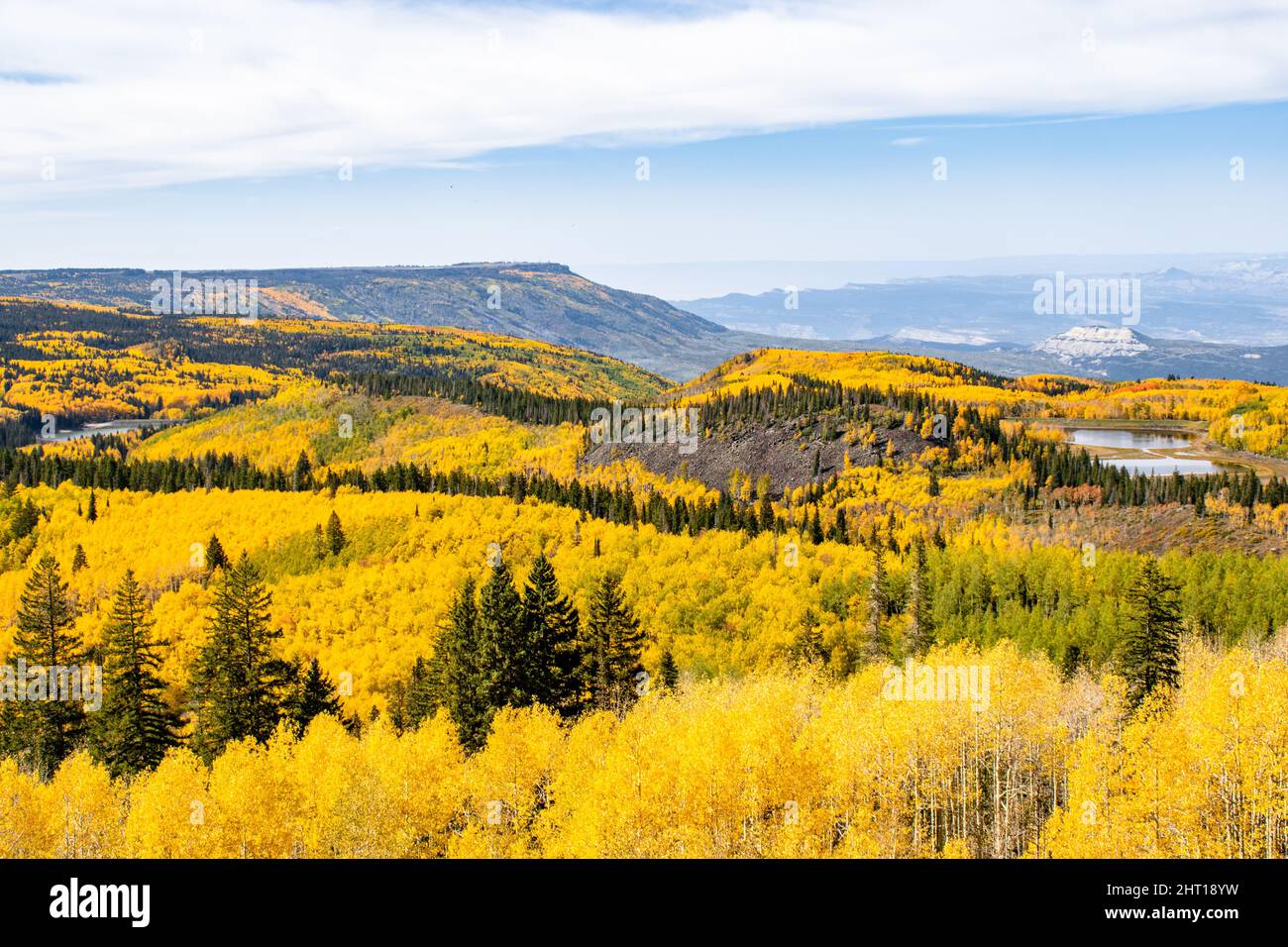 Natural landscape of a forest in Grand Junction, Fall, Grand Mesa Stock ...