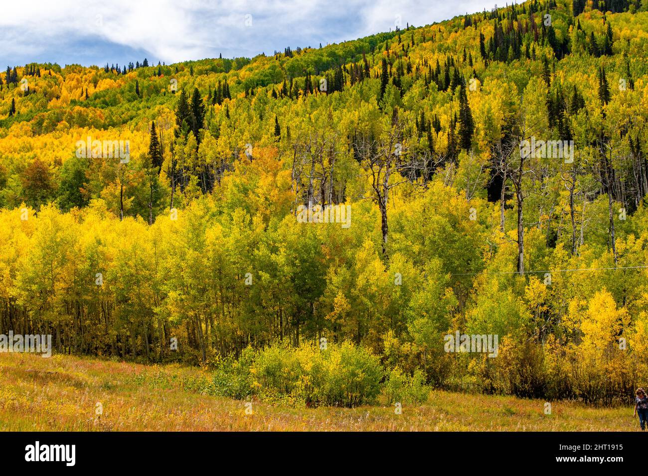 Beautiful autumn landscape with yellow trees and hills in Grand ...