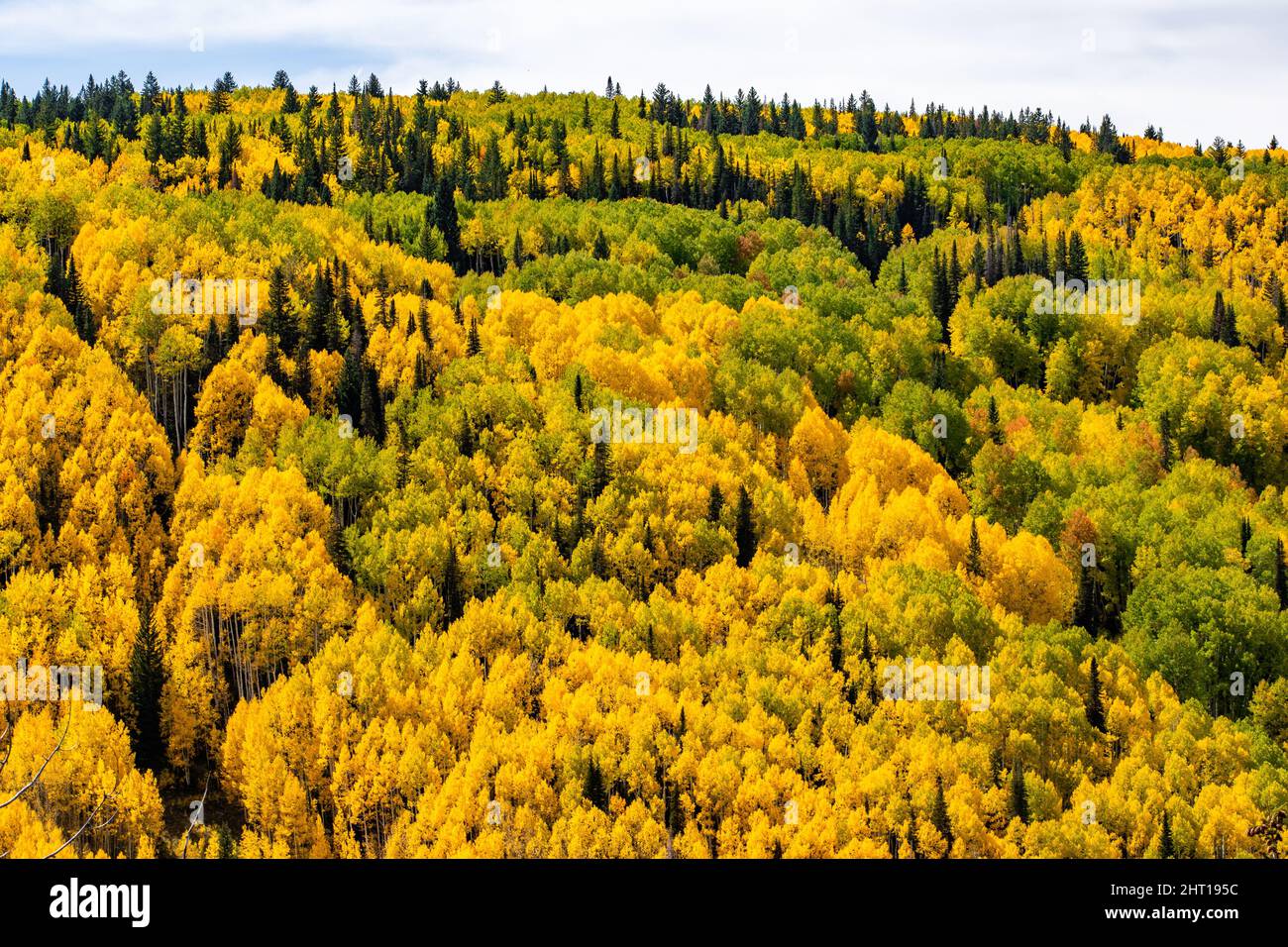 Beautiful autumn landscape with yellow trees and hills in Grand ...