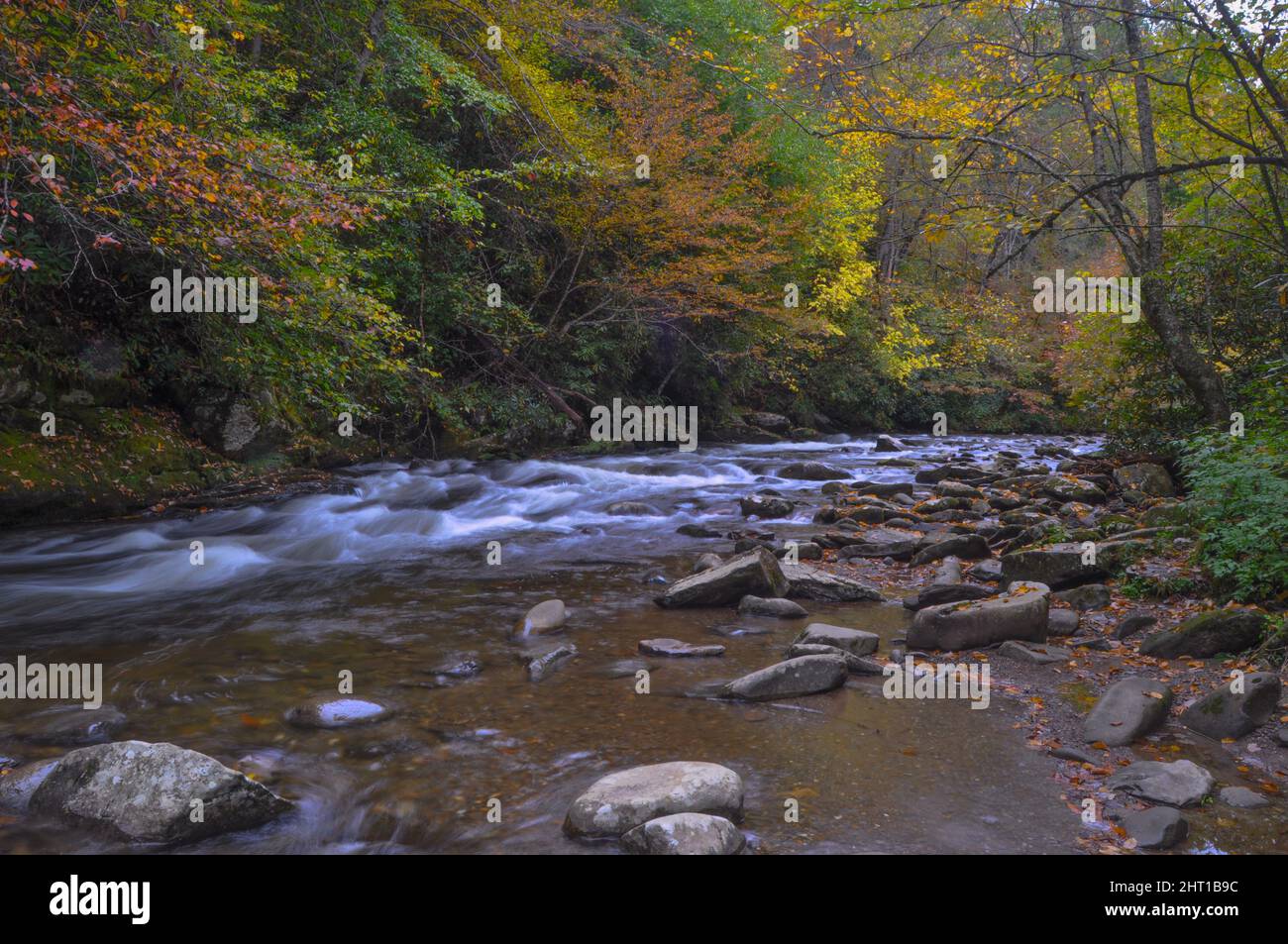 Natural view of the river flowing downstream in Bryson City, North ...