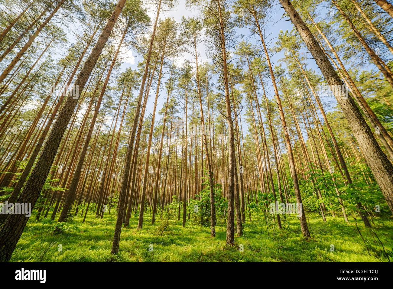 Perspective wide hi-res stock photography and images - Alamy