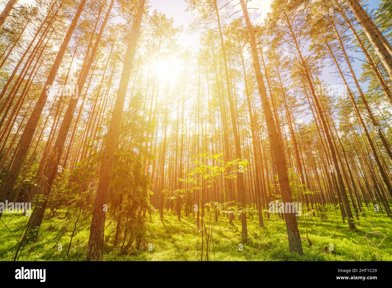 Perspective wide hi-res stock photography and images - Alamy