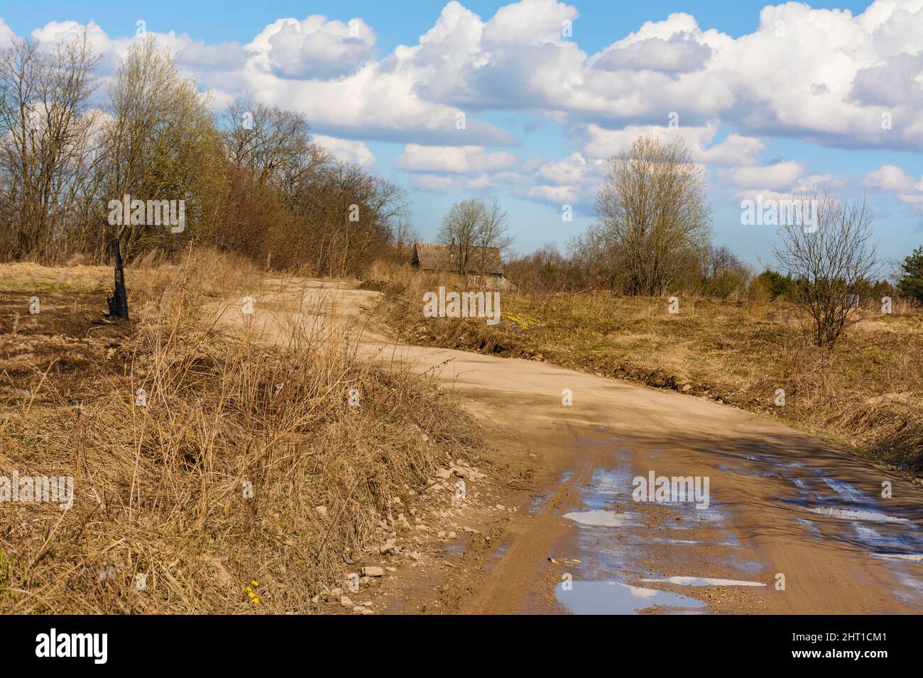 Spring country landscape with early flowers coltsfoot Stock Photo - Alamy