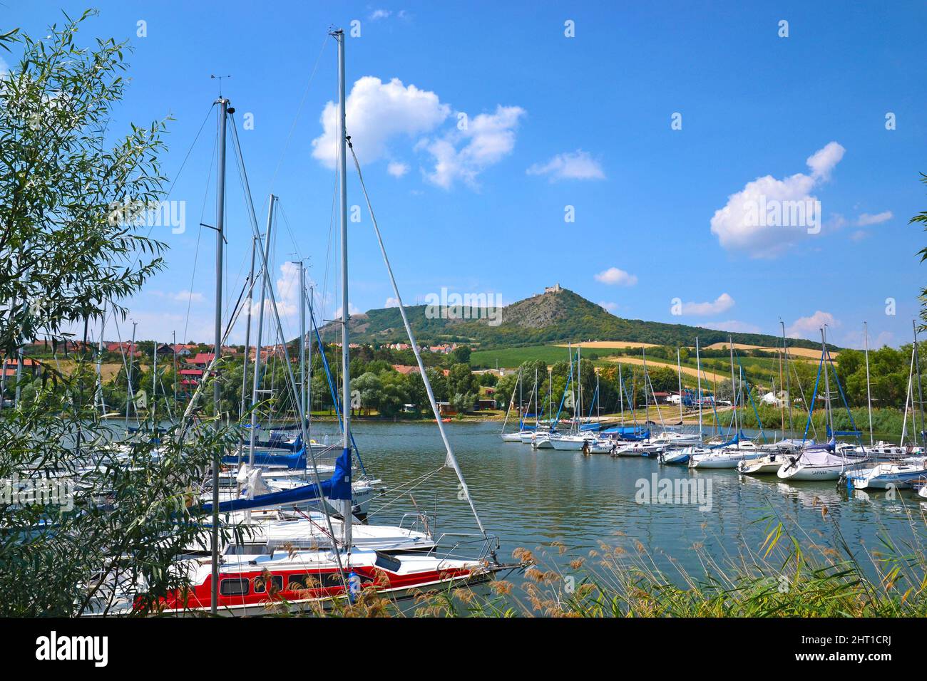 M pavlov hi-res stock photography and images - Alamy