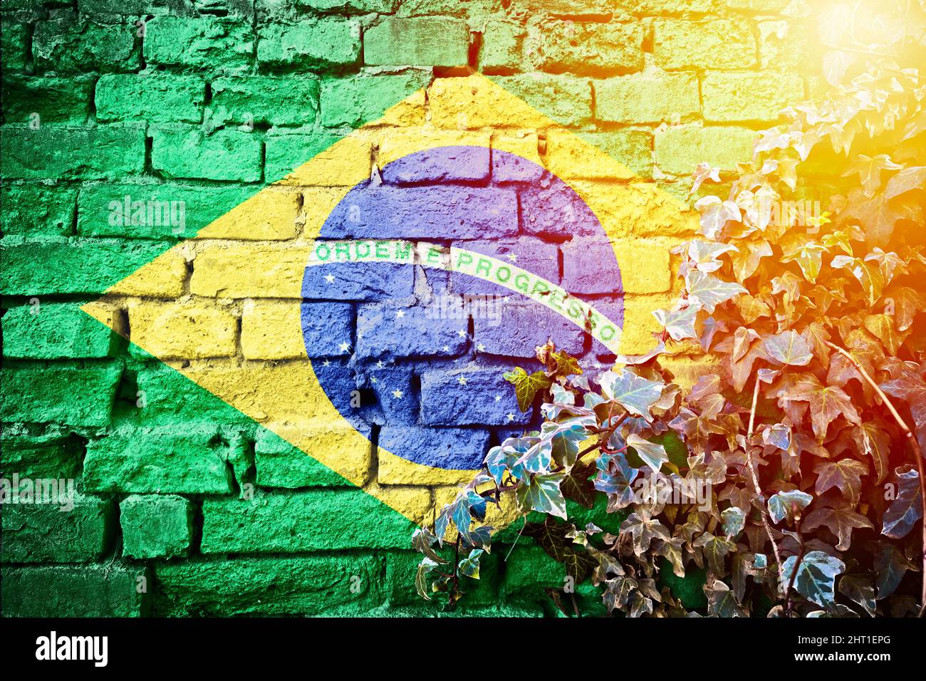 Brazil grunge flag on brick wall with ivy plant sun haze view, country ...
