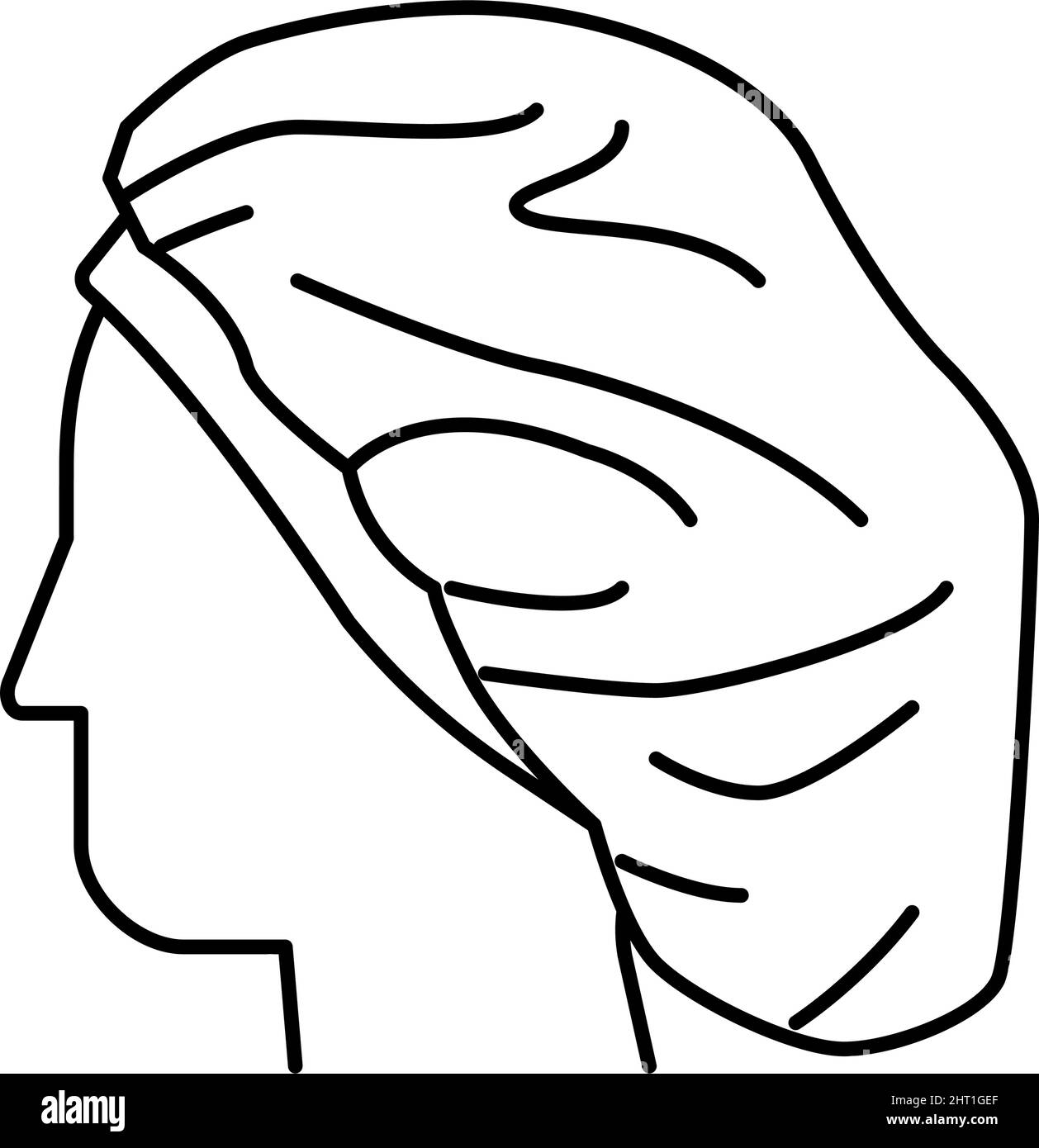 silk reel line icon vector illustration Stock Vector Image & Art - Alamy