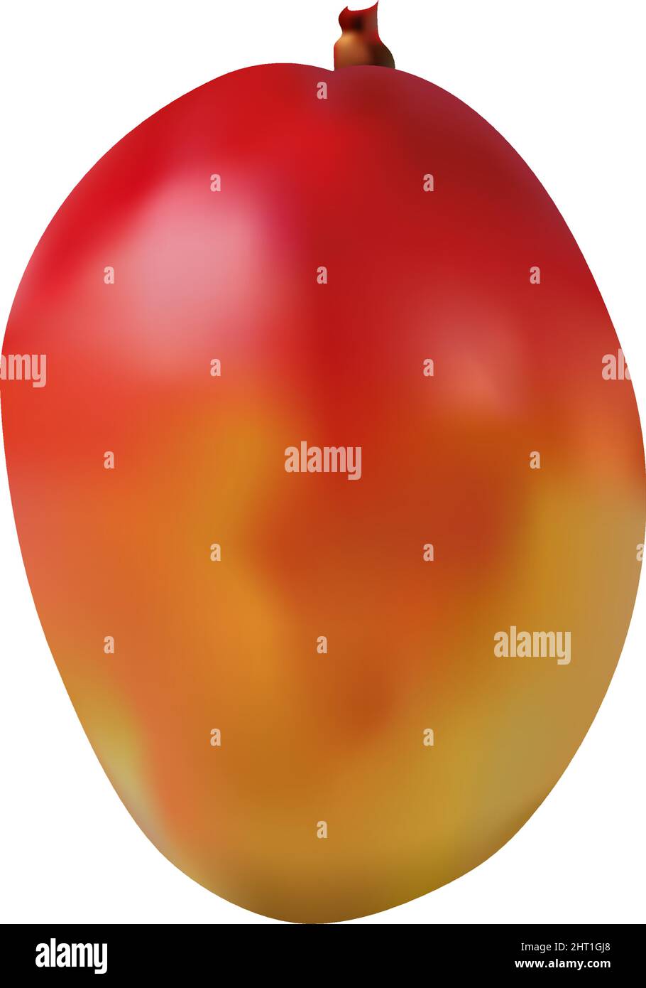 mango gradient mesh vector element clip art Stock Vector Image & Art ...