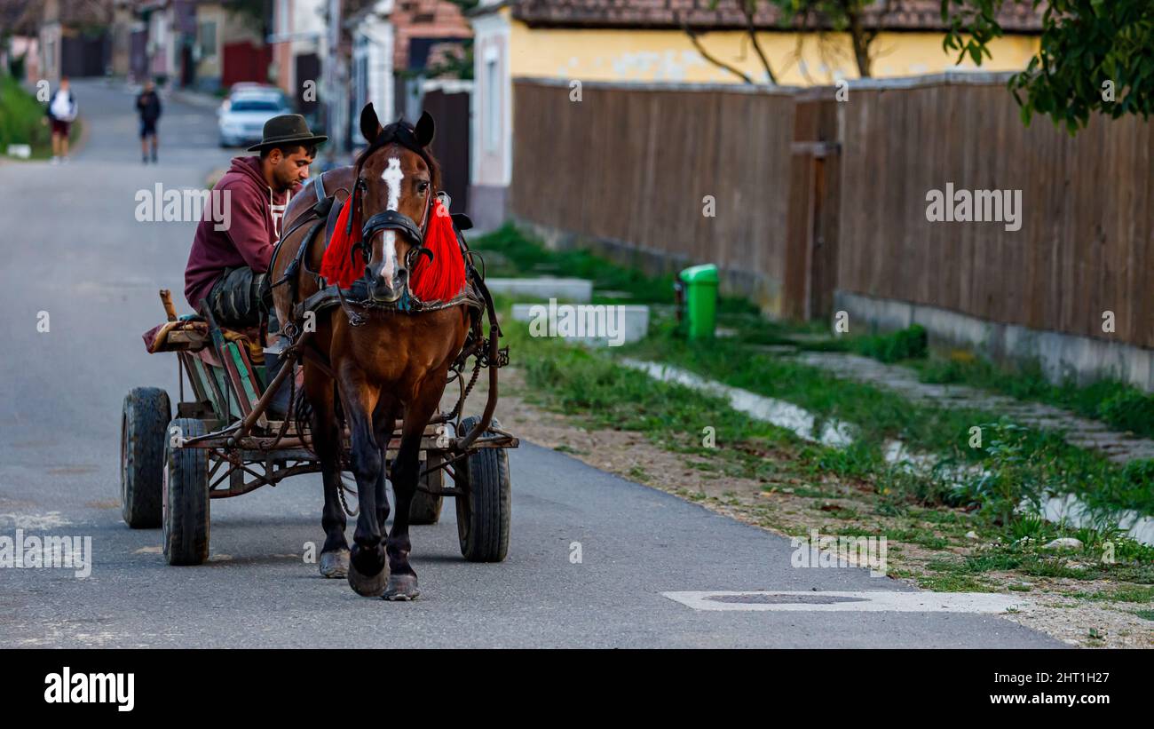 Horse carriage and farmer in Biertan Romania Stock Photo - Alamy