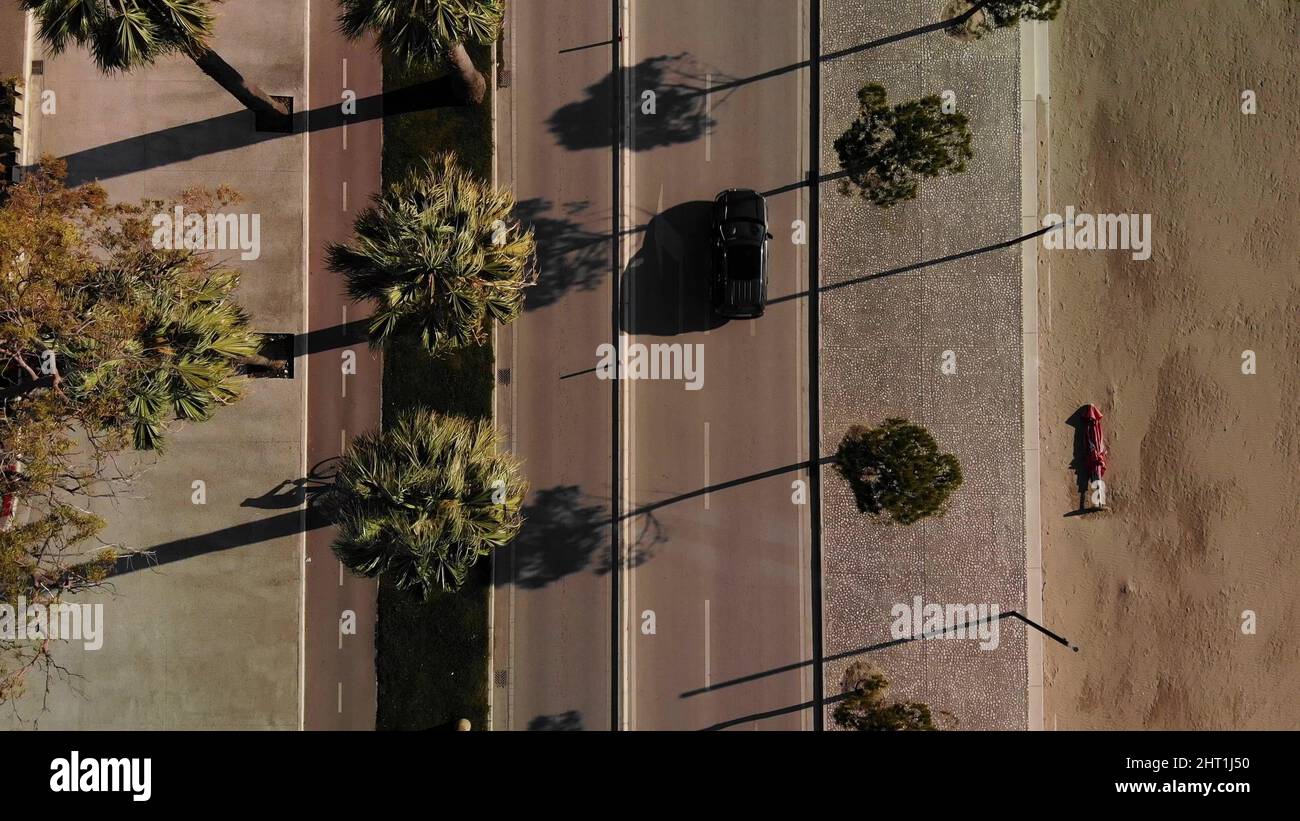 Top down view of road and palm tree Stock Photo - Alamy
