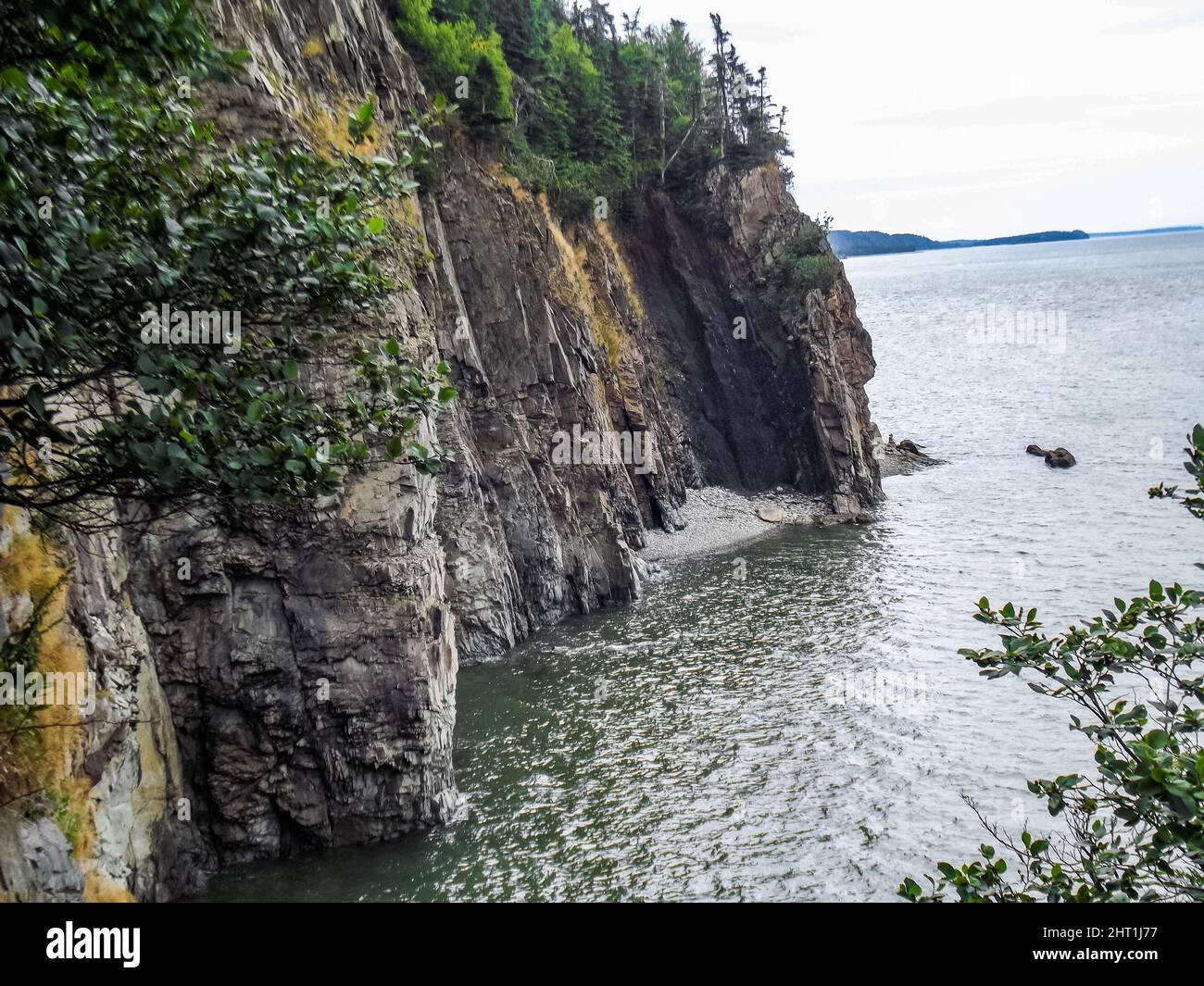 Landscape of the sea surrounded by cliffs and greenery in Prince Edward ...