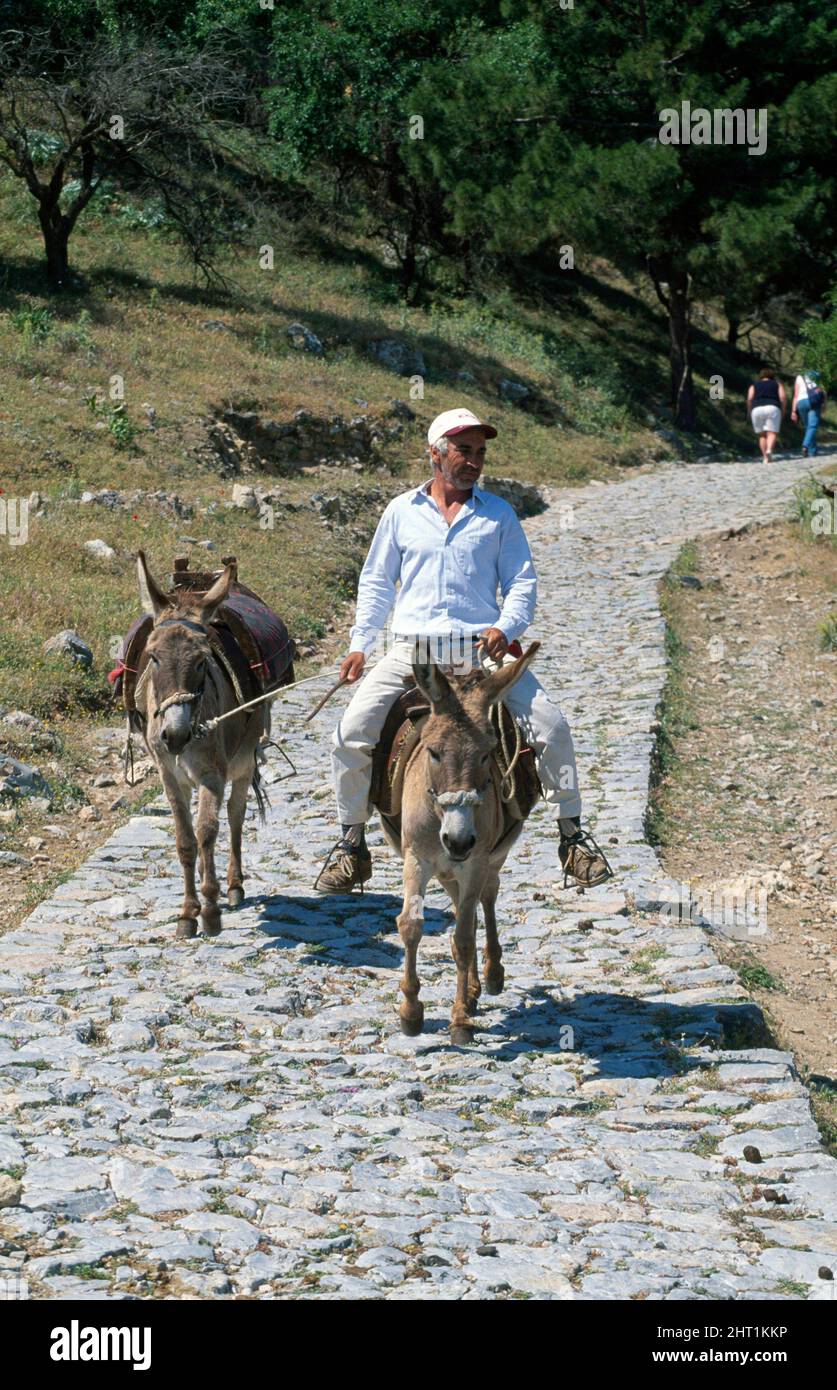 Donkeys, Lindos, Rhodes Island, Dodecanese, Greece, Europe Stock Photo ...