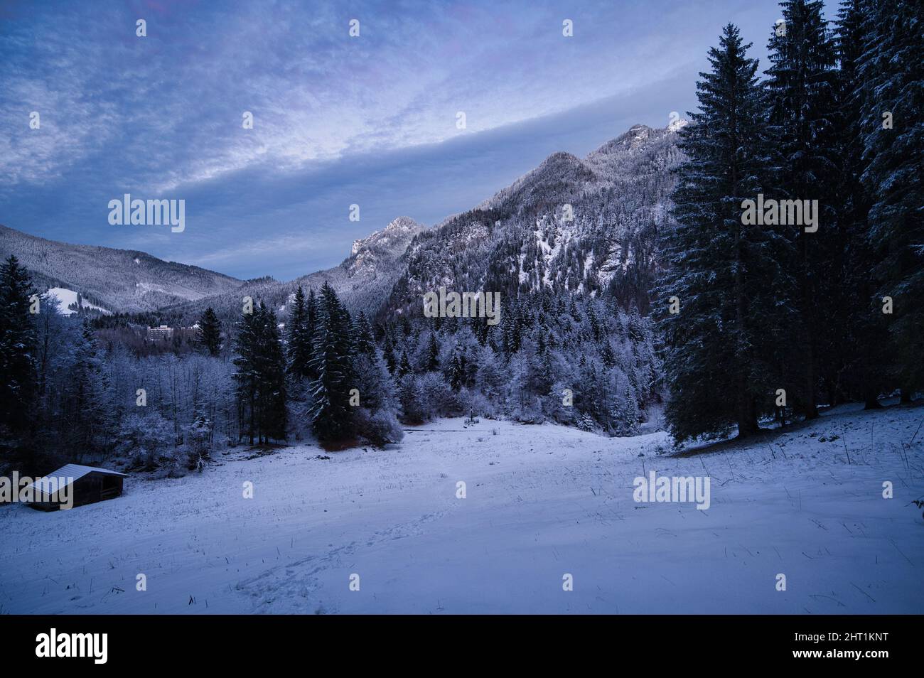 View of a snowy meadow with tress covered with snow against a mountains ...
