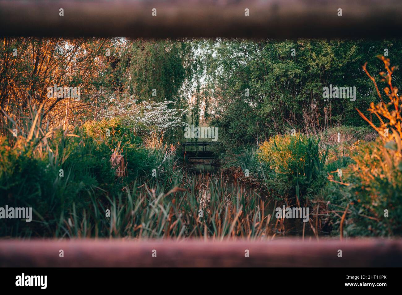Beautiful view of wild grass and trees between wooden barriers frame in ...